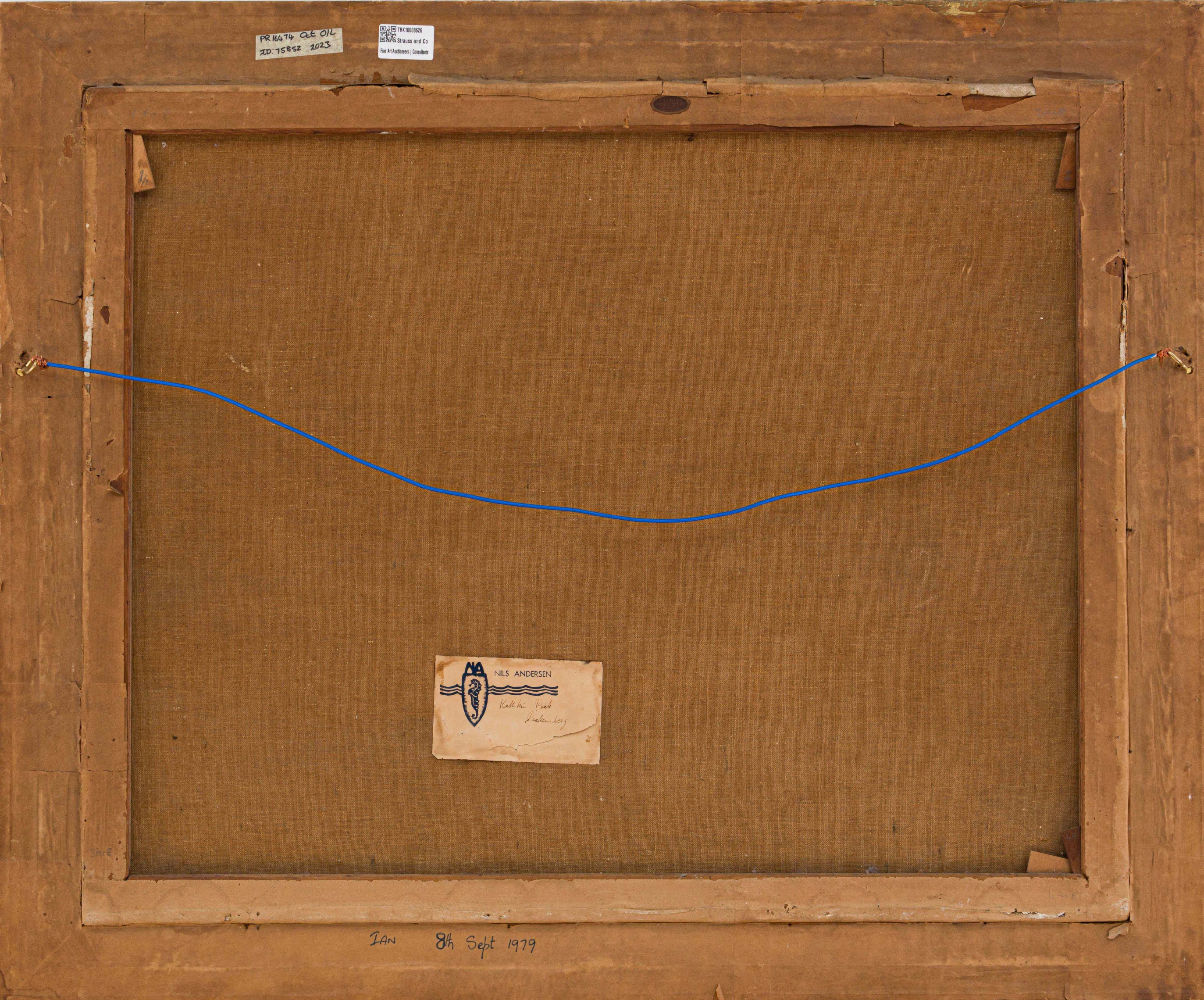 Cathkin Peak by Nils Andersen | Strauss & Co