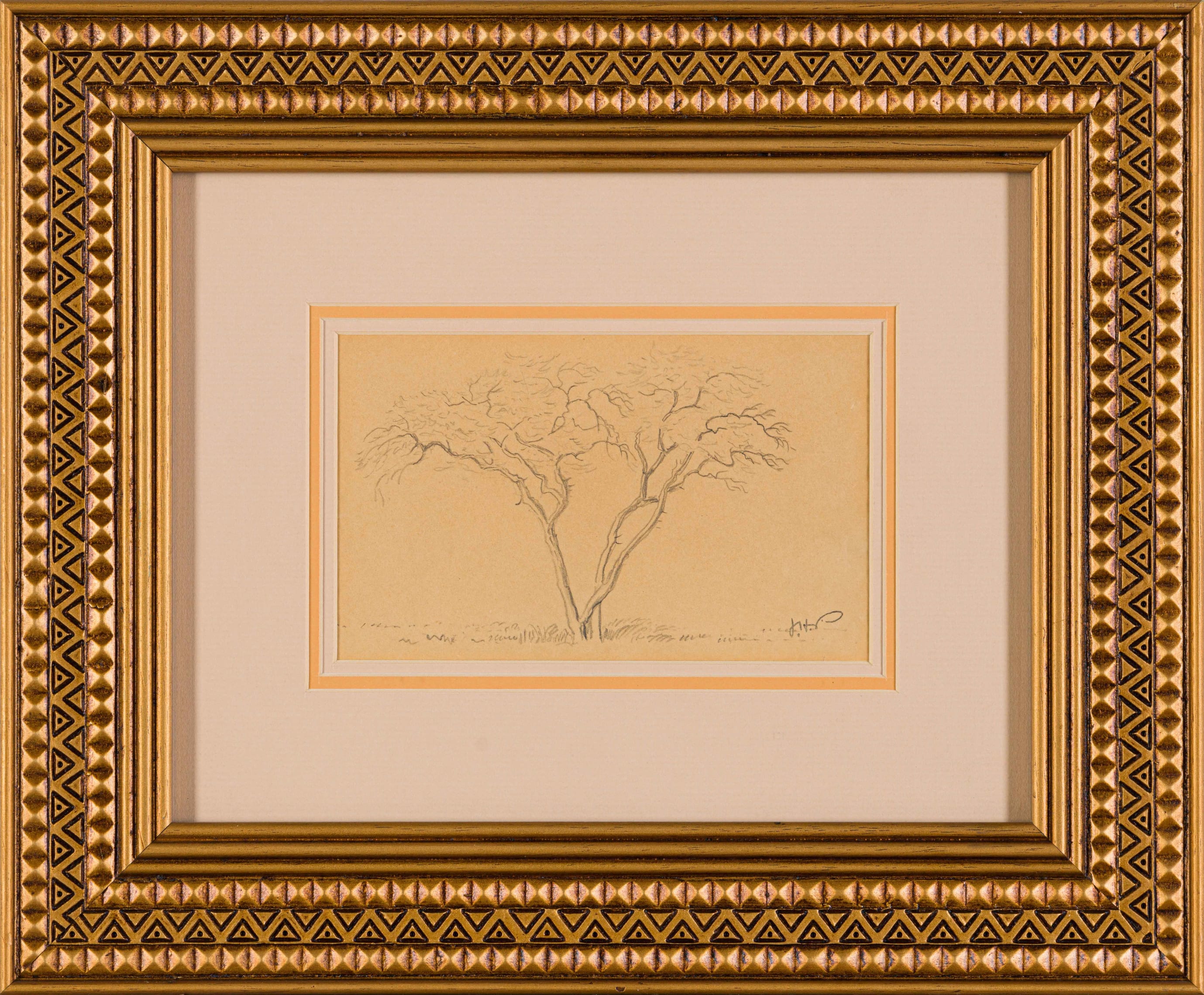 Acacia by Jacob Hendrik Pierneef | Strauss & Co