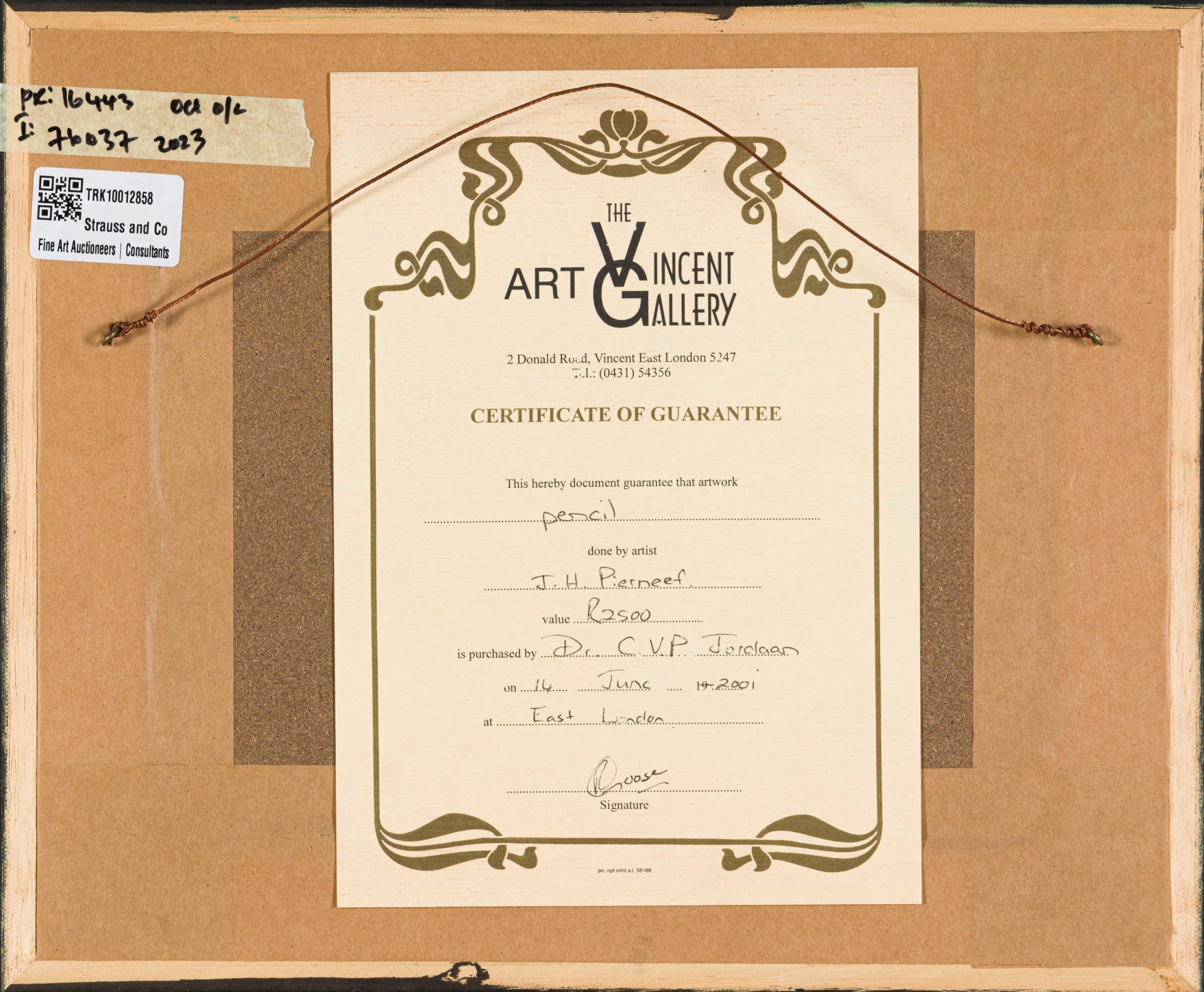 Acacia by Jacob Hendrik Pierneef | Strauss & Co