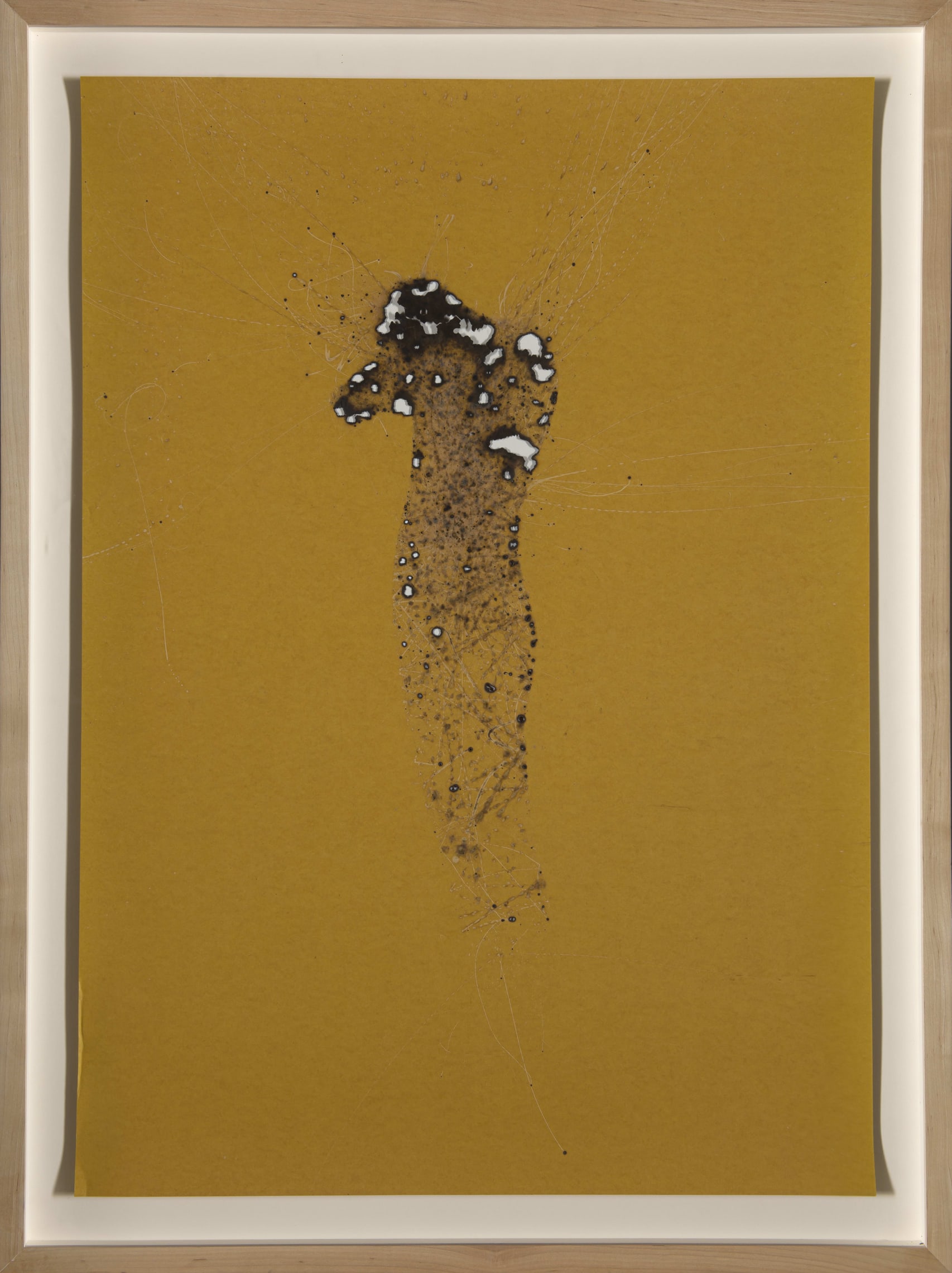 Untitled by Pedro Pires | Strauss & Co