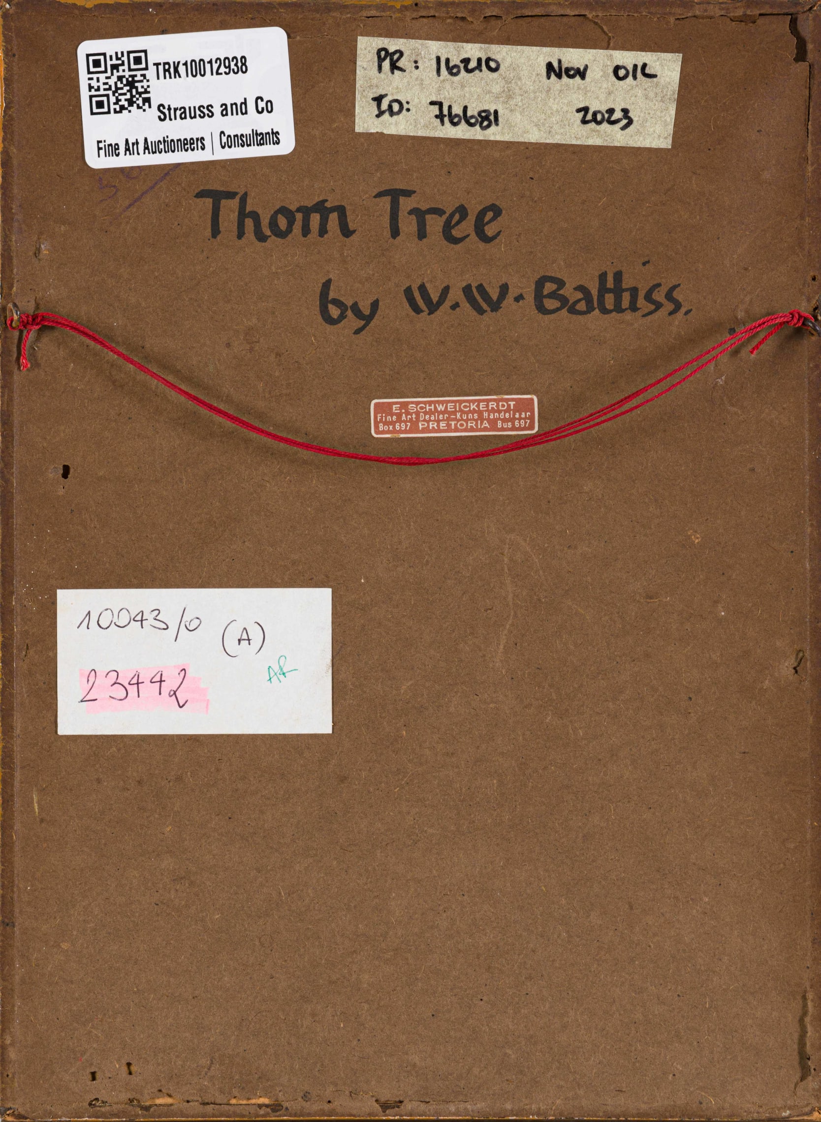 Thorn Tree by Walter Battiss | Strauss & Co