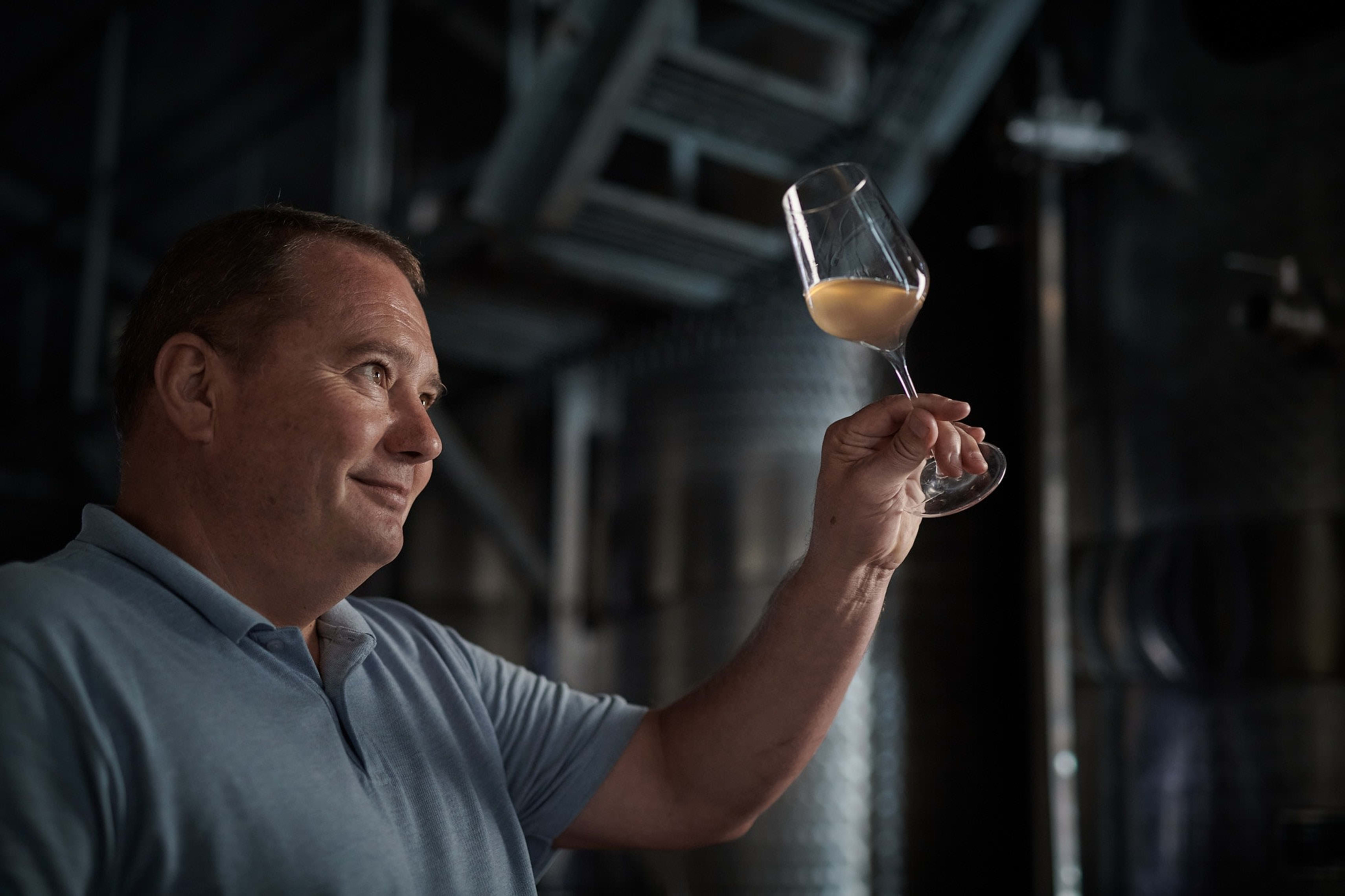 Frans K Smit CWG Special Edition 2019 12 (2 x 6) 750ml by Spier Wines ...