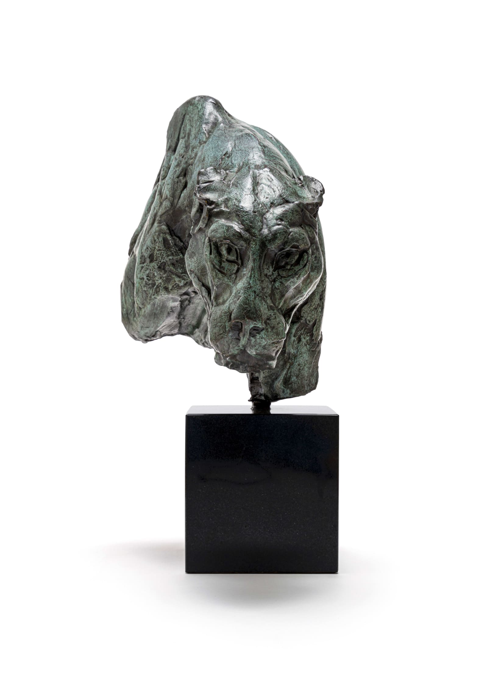 Leopard Bust (S85) by Dylan Lewis | Strauss & Co