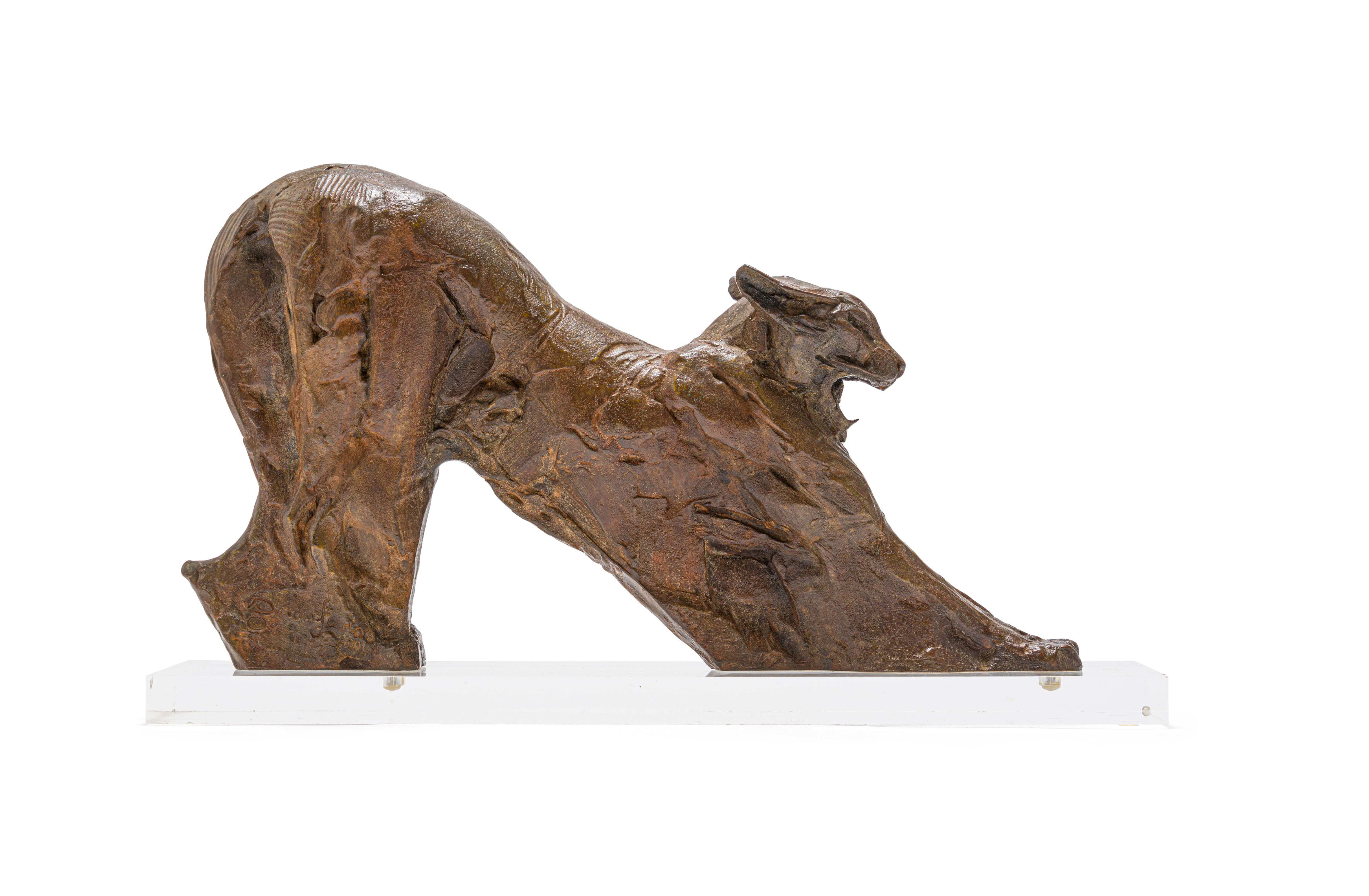 Stretching Oriental Cat (S149) by Dylan Lewis | Strauss & Co