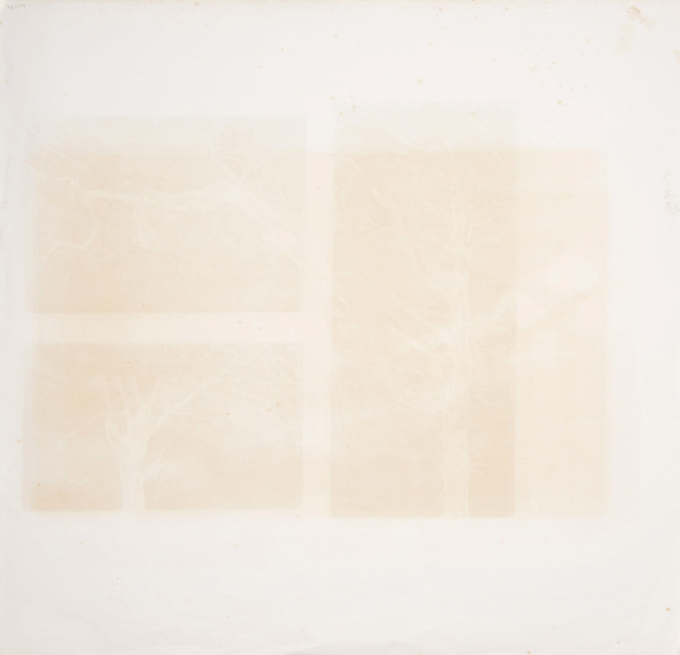 Trees by Alice Goldin | Strauss & Co