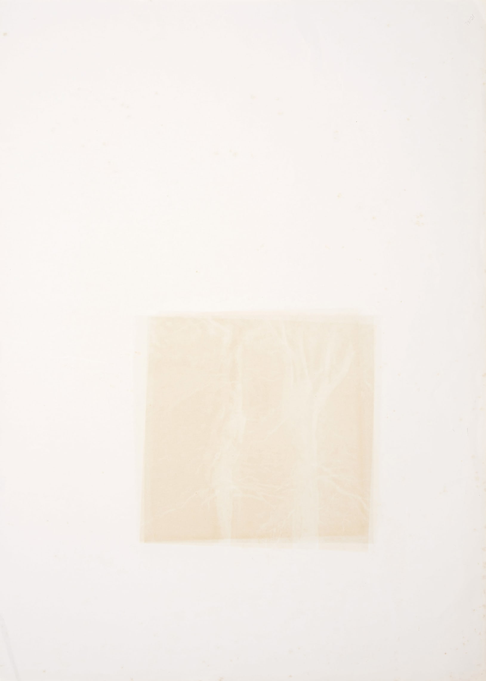 Autumn by Alice Goldin | Strauss & Co