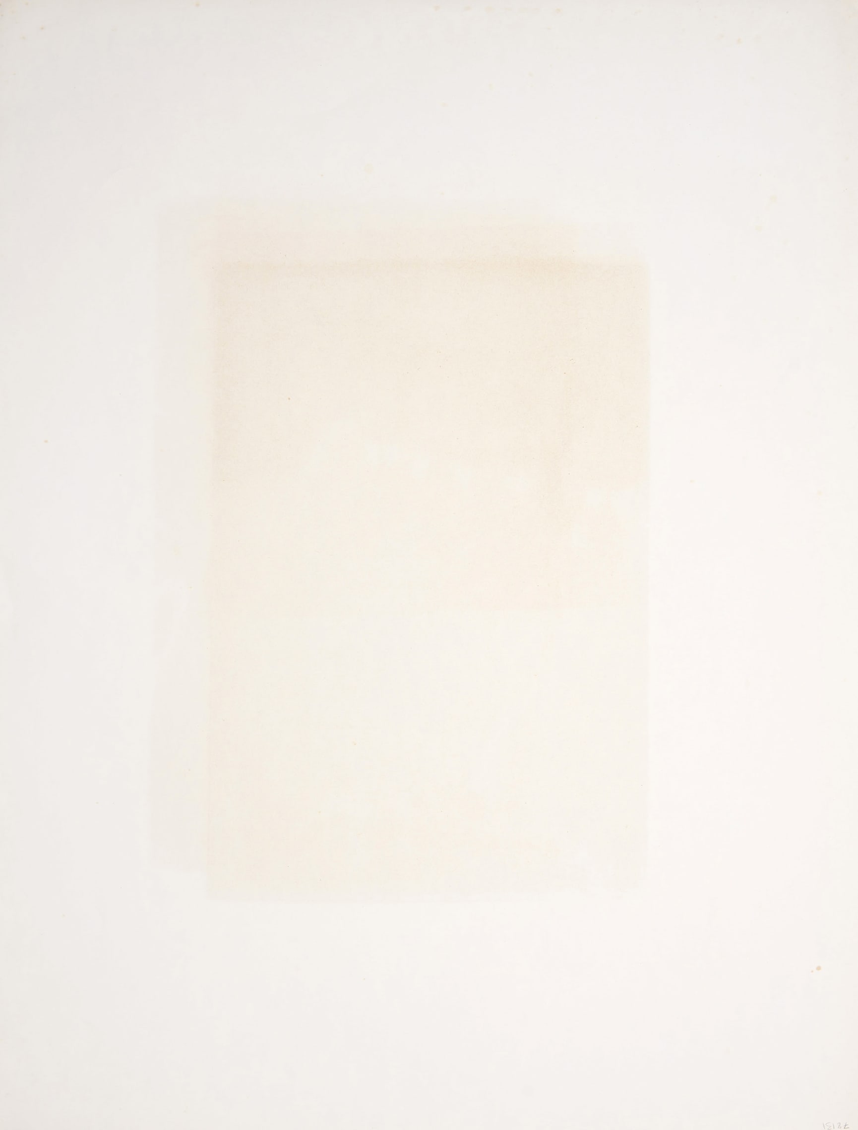 Morning Mist by Alice Goldin | Strauss & Co