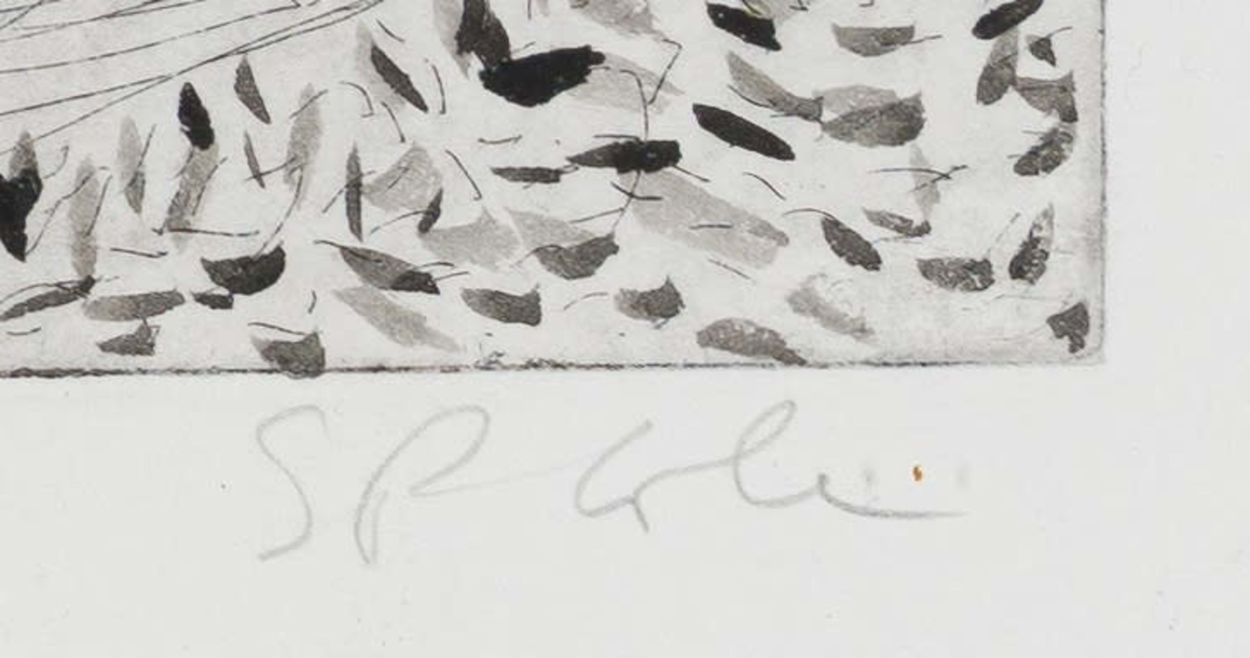 Self Portraits by Pat Cole | Strauss & Co