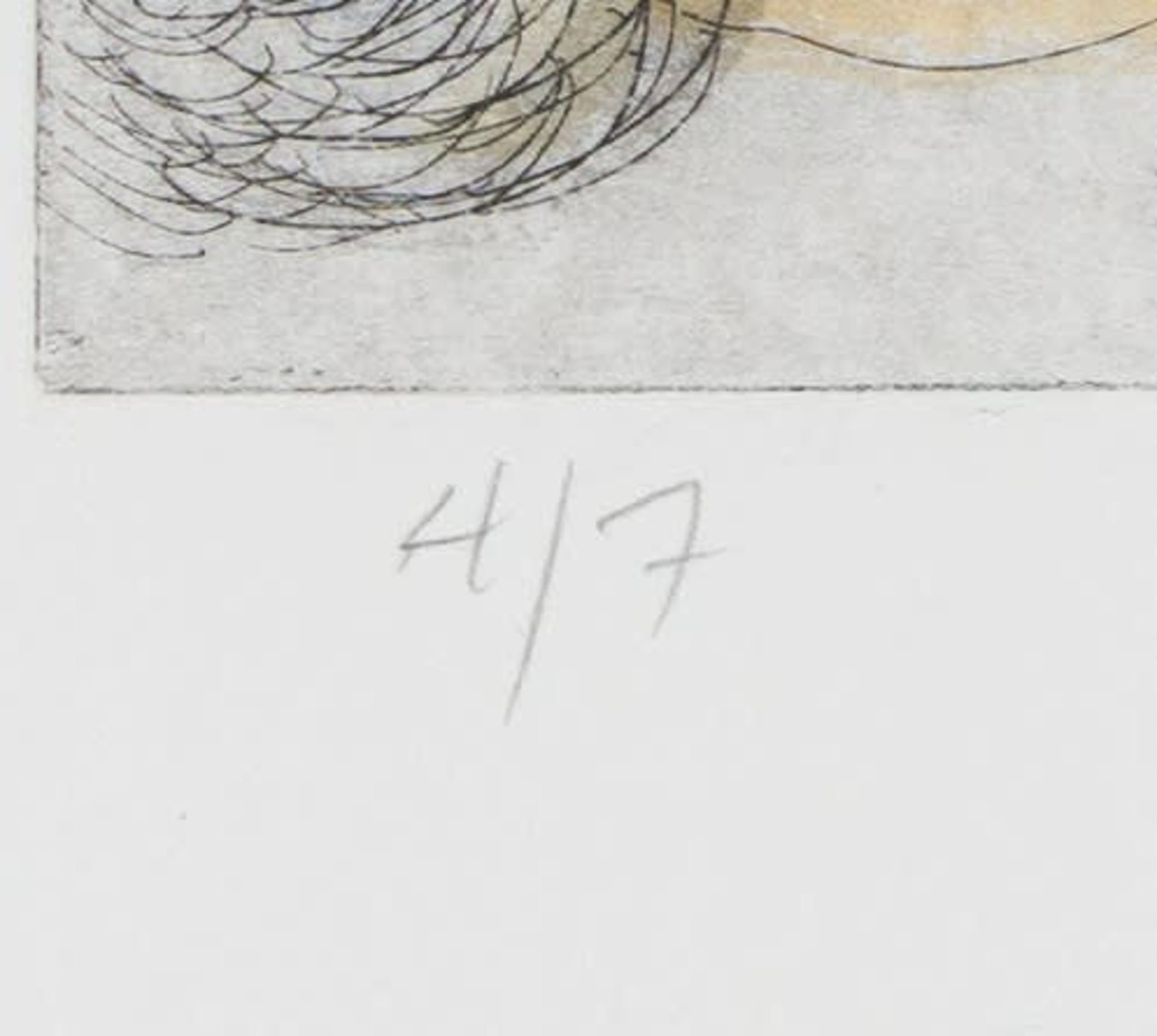 Self Portraits by Pat Cole | Strauss & Co