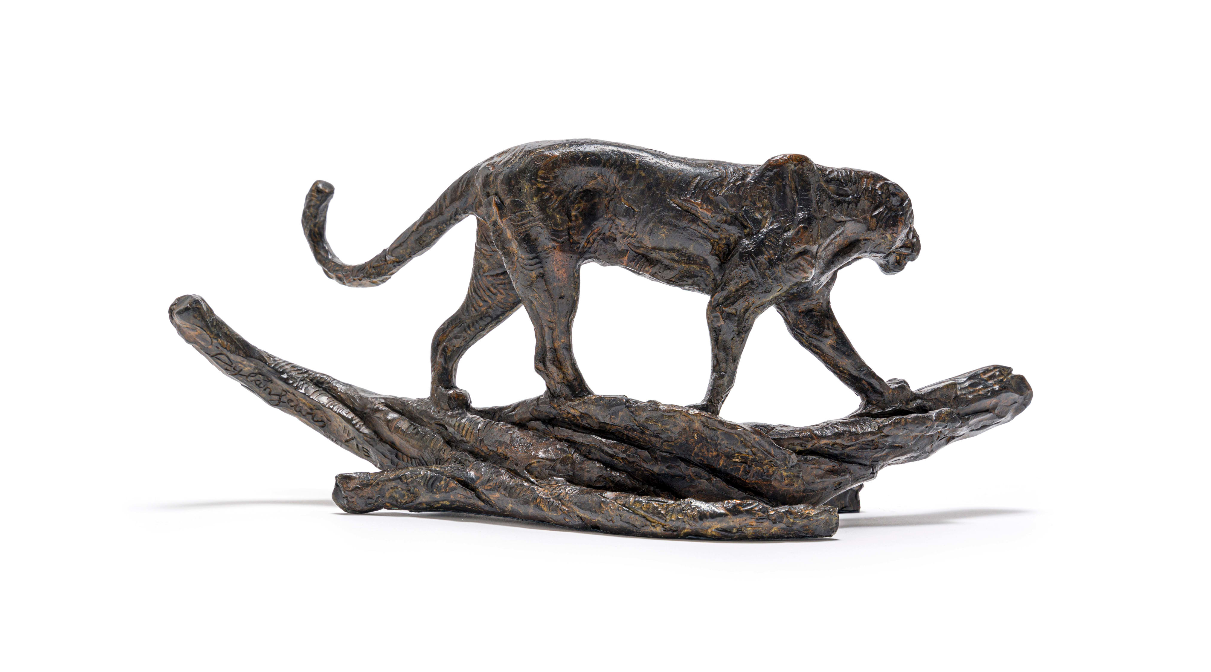 Leopard IV (S451) by Dylan Lewis | Strauss & Co