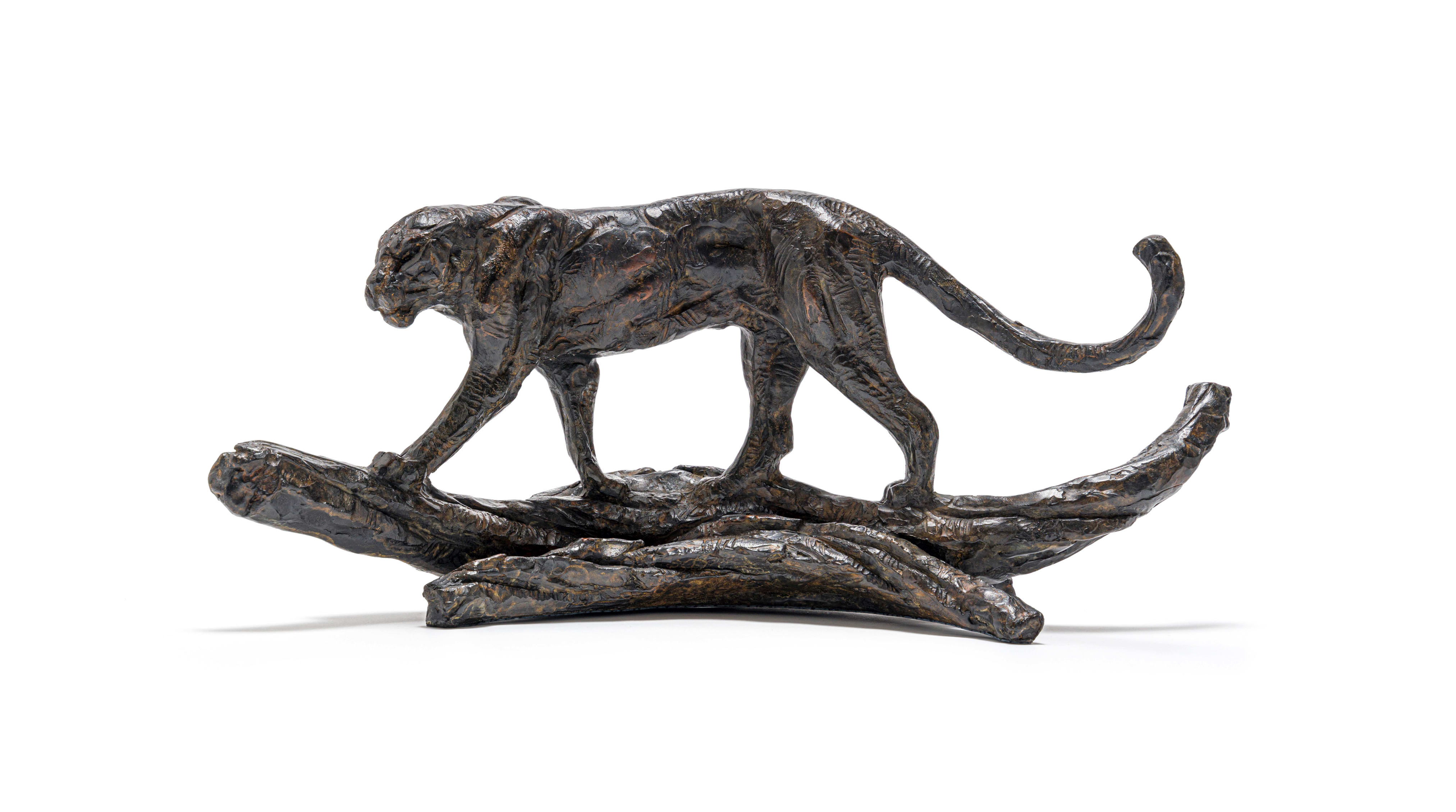 Leopard IV (S451) by Dylan Lewis | Strauss & Co