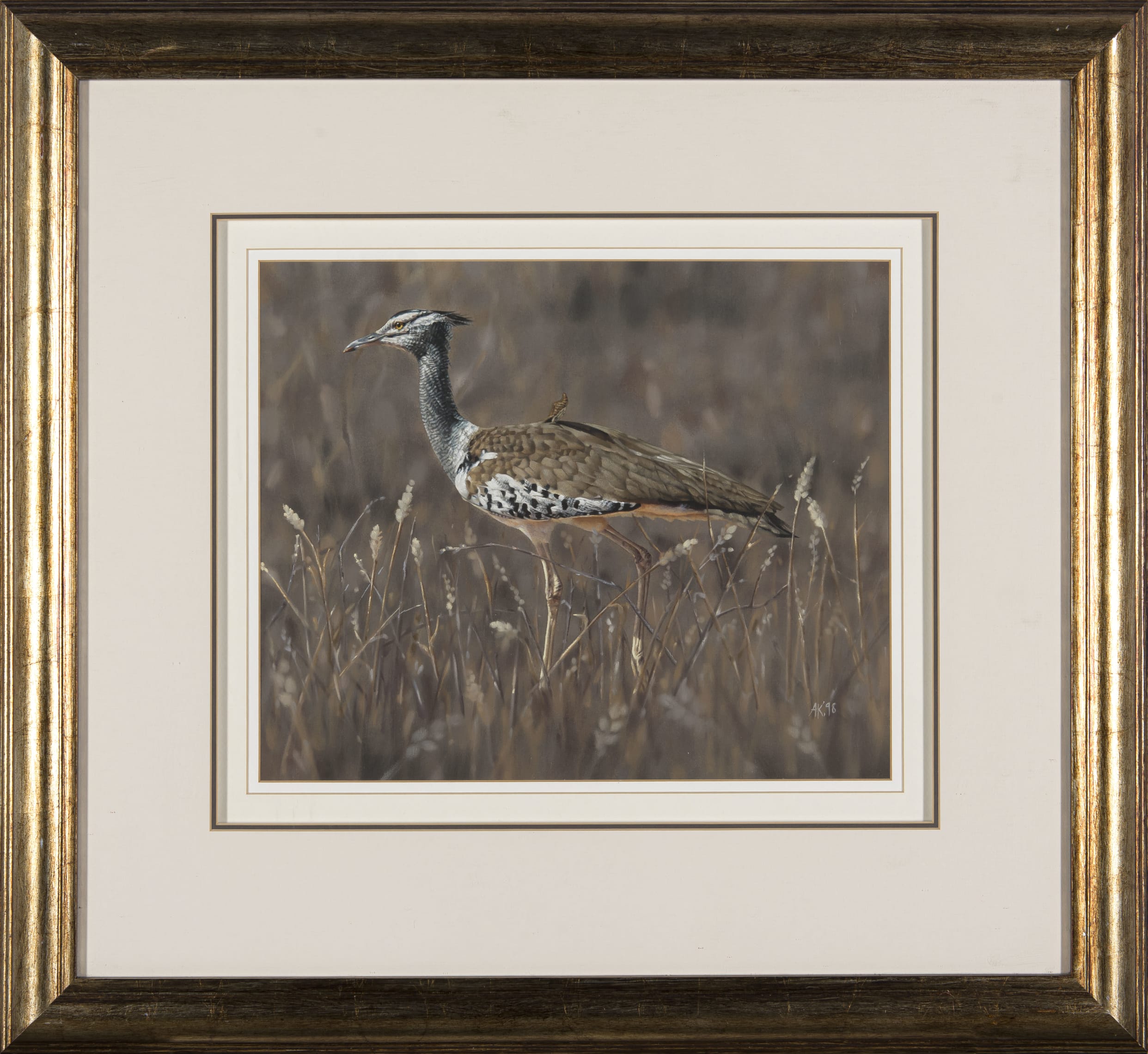 Kori Bustard by Angela Key | Strauss & Co