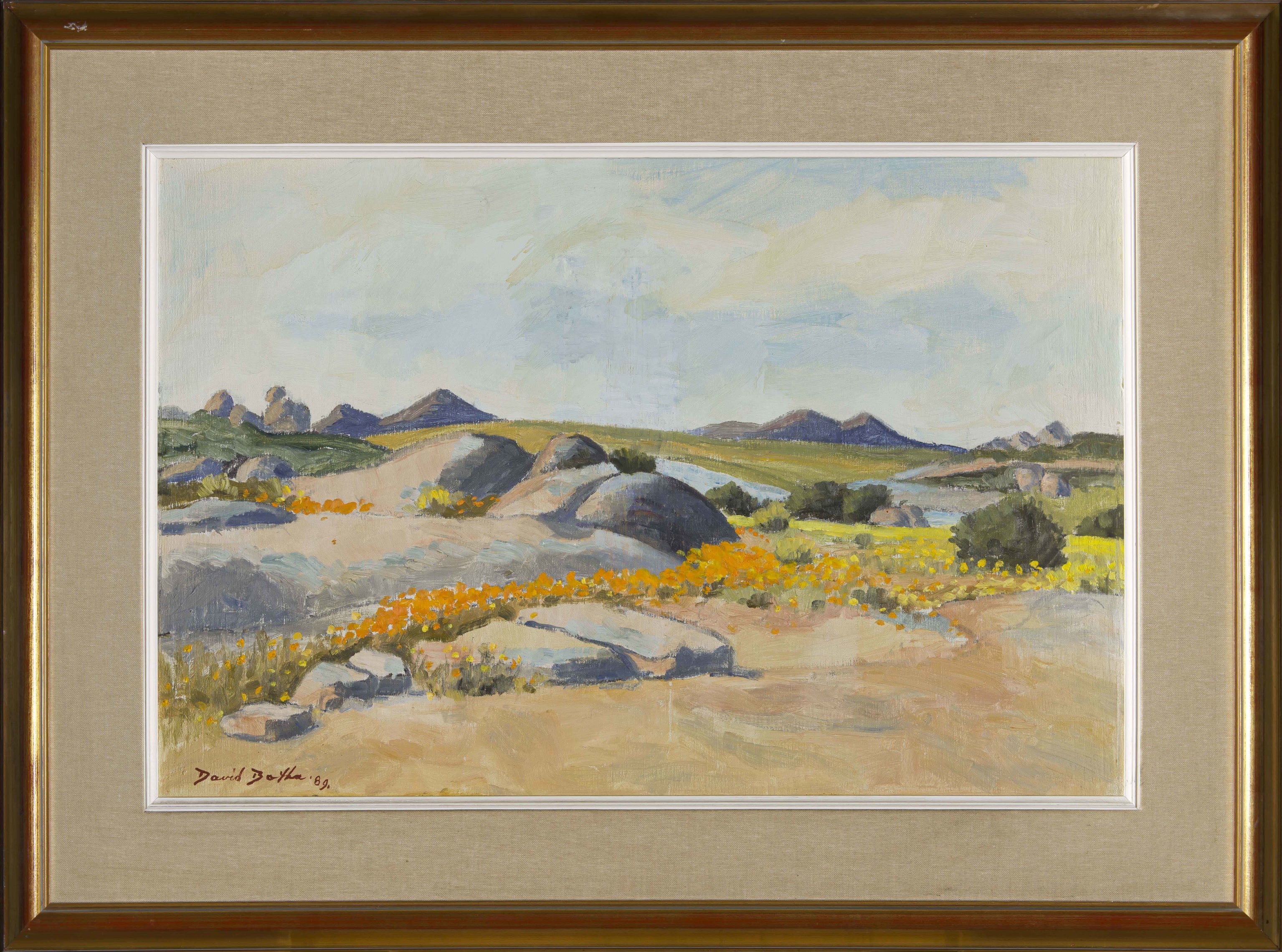 Namaqualand Landscape by David Botha | Strauss & Co