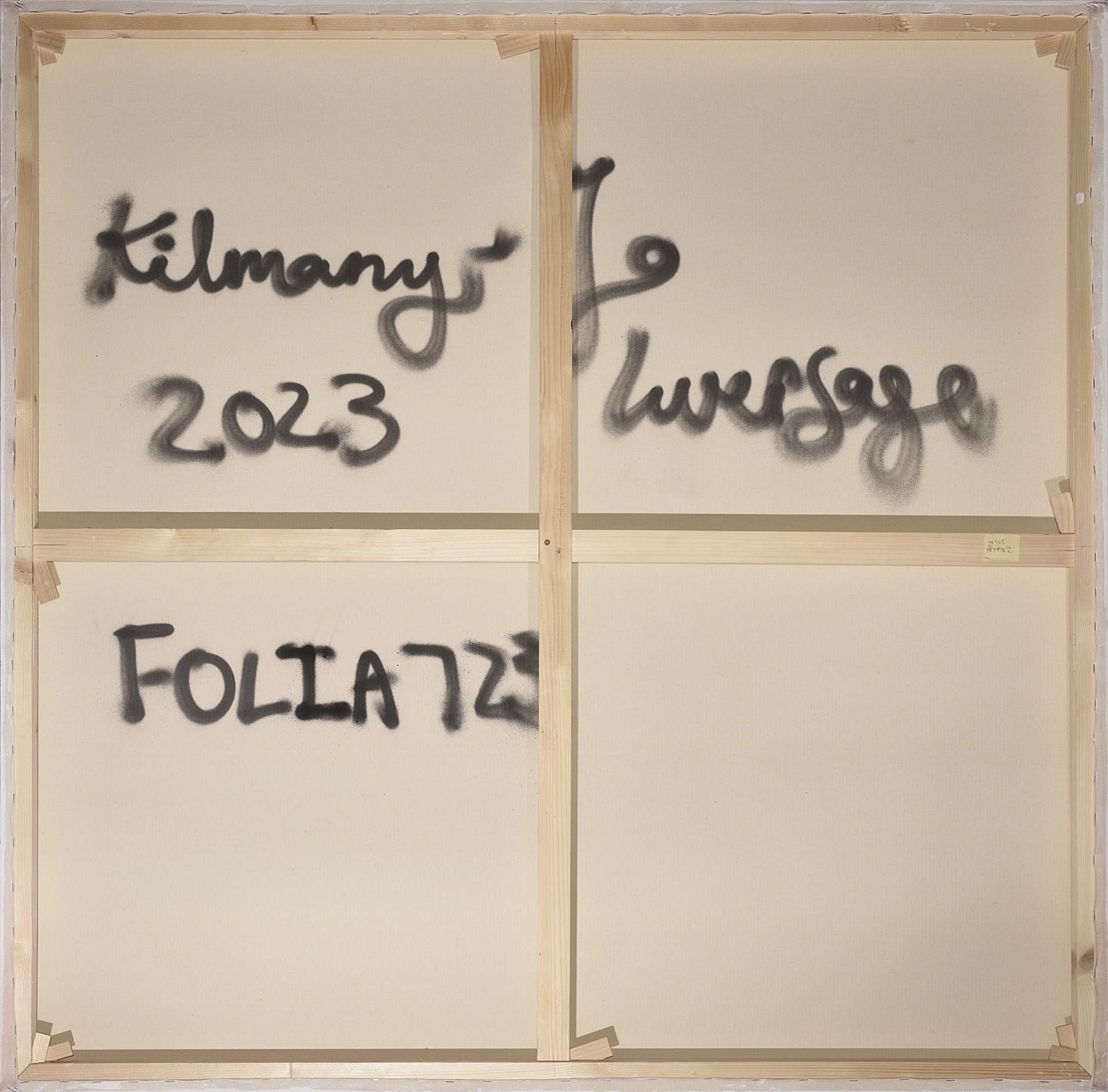 Folia723 by Kilmany-Jo Liversage | Strauss & Co