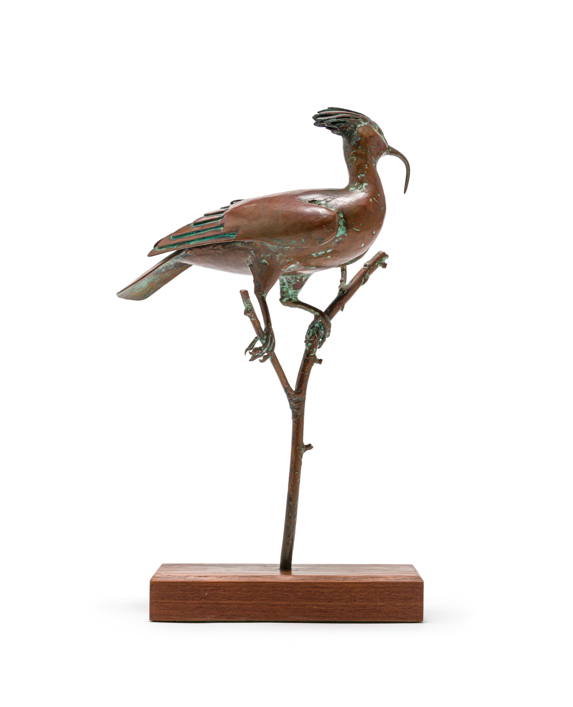 Bird by Robin Lewis | Strauss & Co