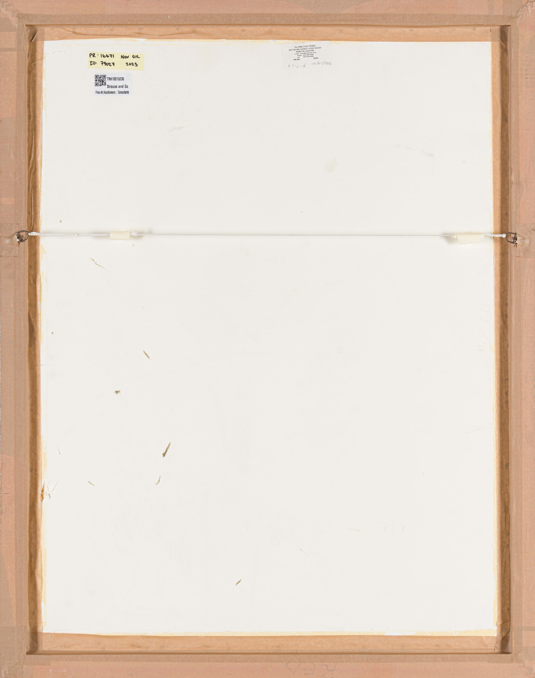 Cactus Man by Norman Catherine | Strauss & Co