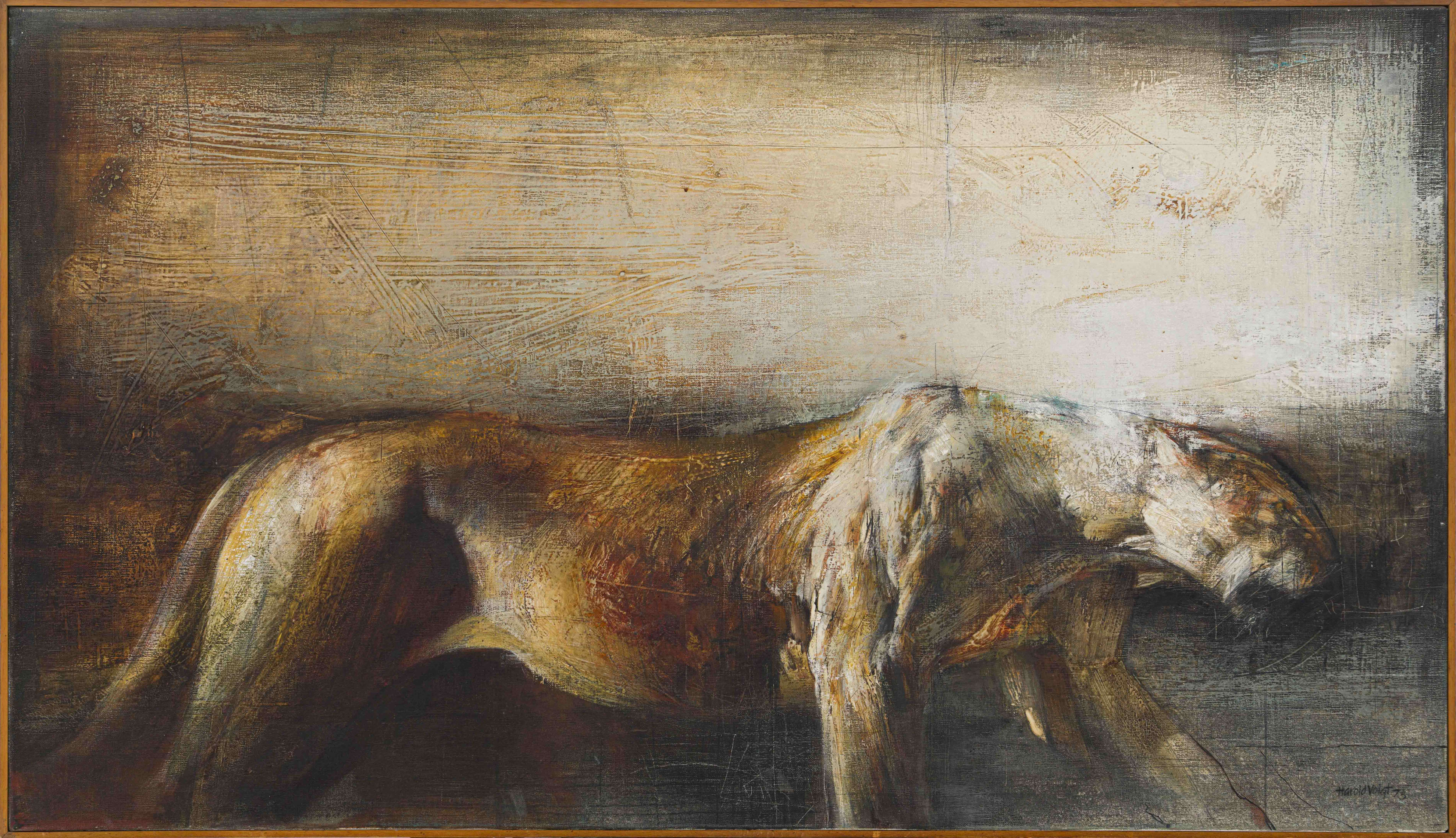Lioness by Harold Voigt | Strauss & Co