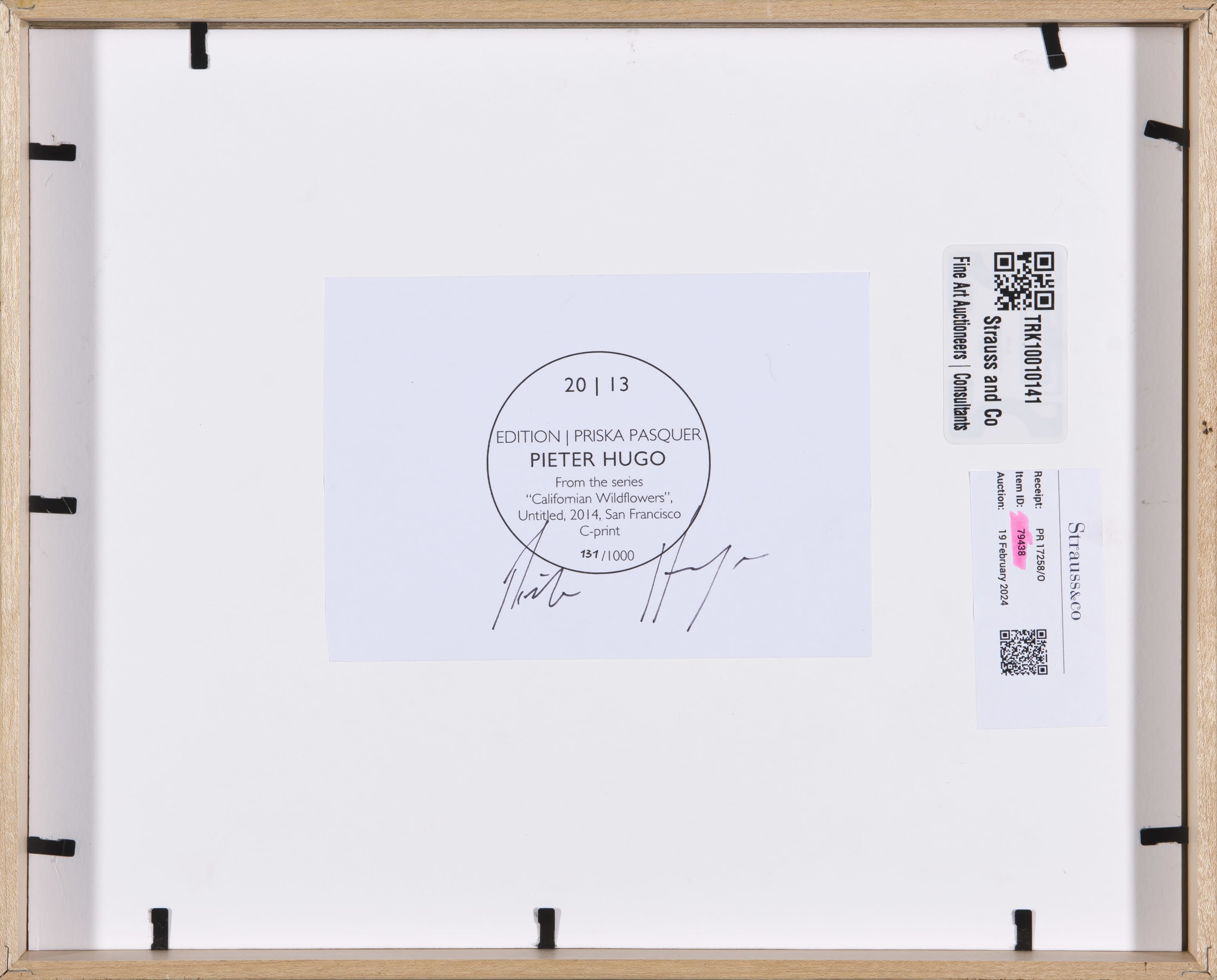 Untitled, San Francisco, Californian Wildflowers Series by Pieter Hugo ...