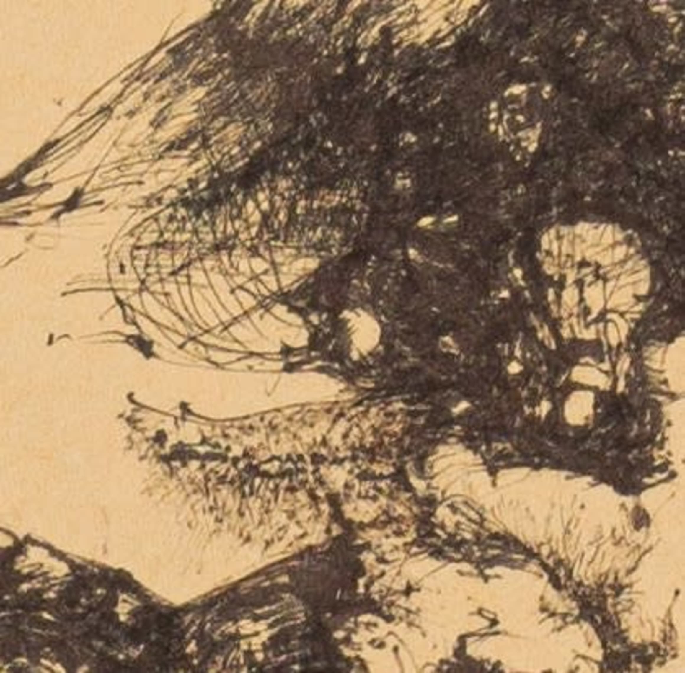 Abstract Animals, two by Ezrom Legae | Strauss & Co