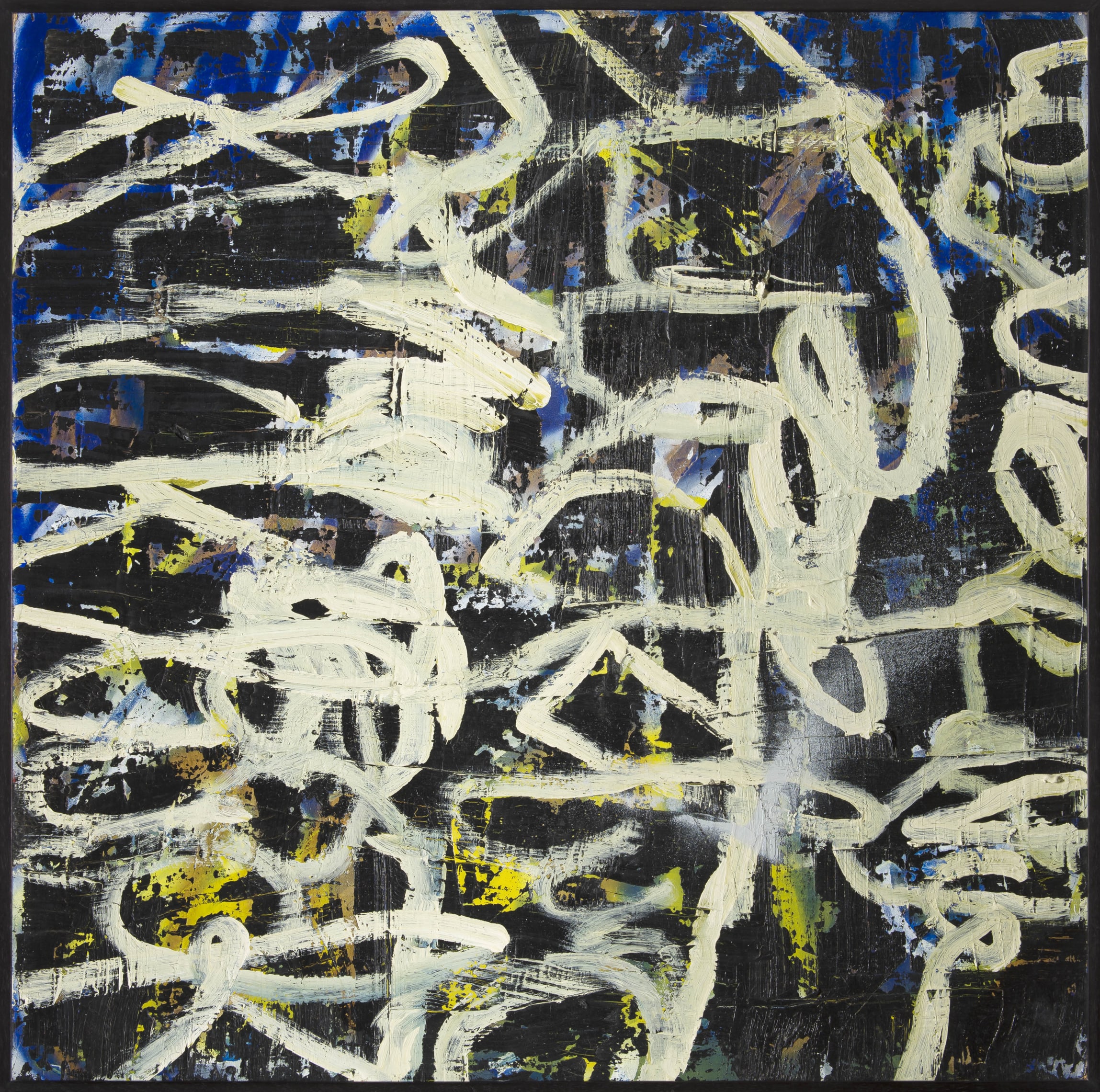 Reveal Itself by Itself by Jan-Henri Booyens | Strauss & Co