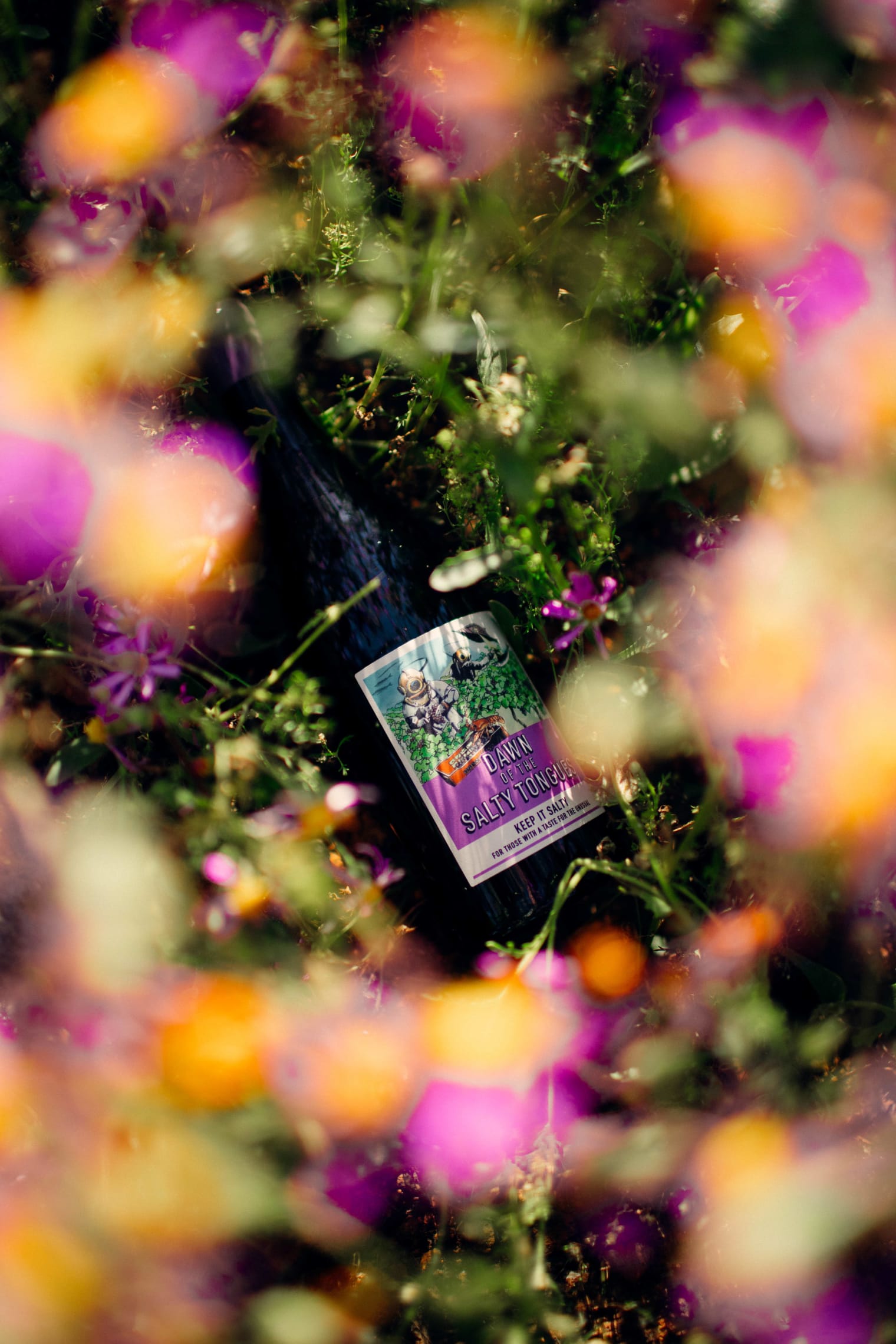 Sakkie Mouton Family, Saurwein & Van Loggerenberg Wines Collection 10 ...