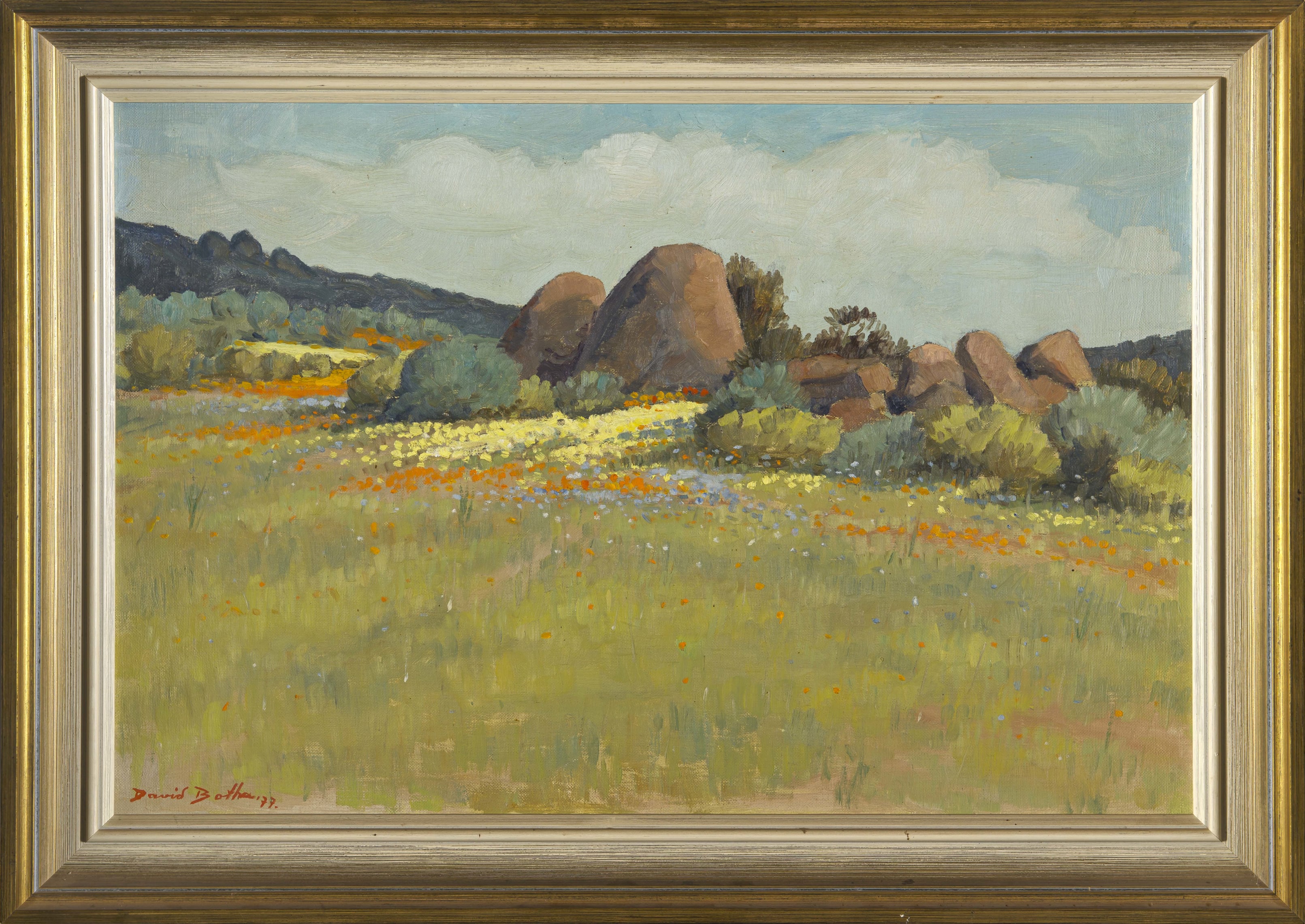 Namaqualand Landscape by David Botha | Strauss & Co
