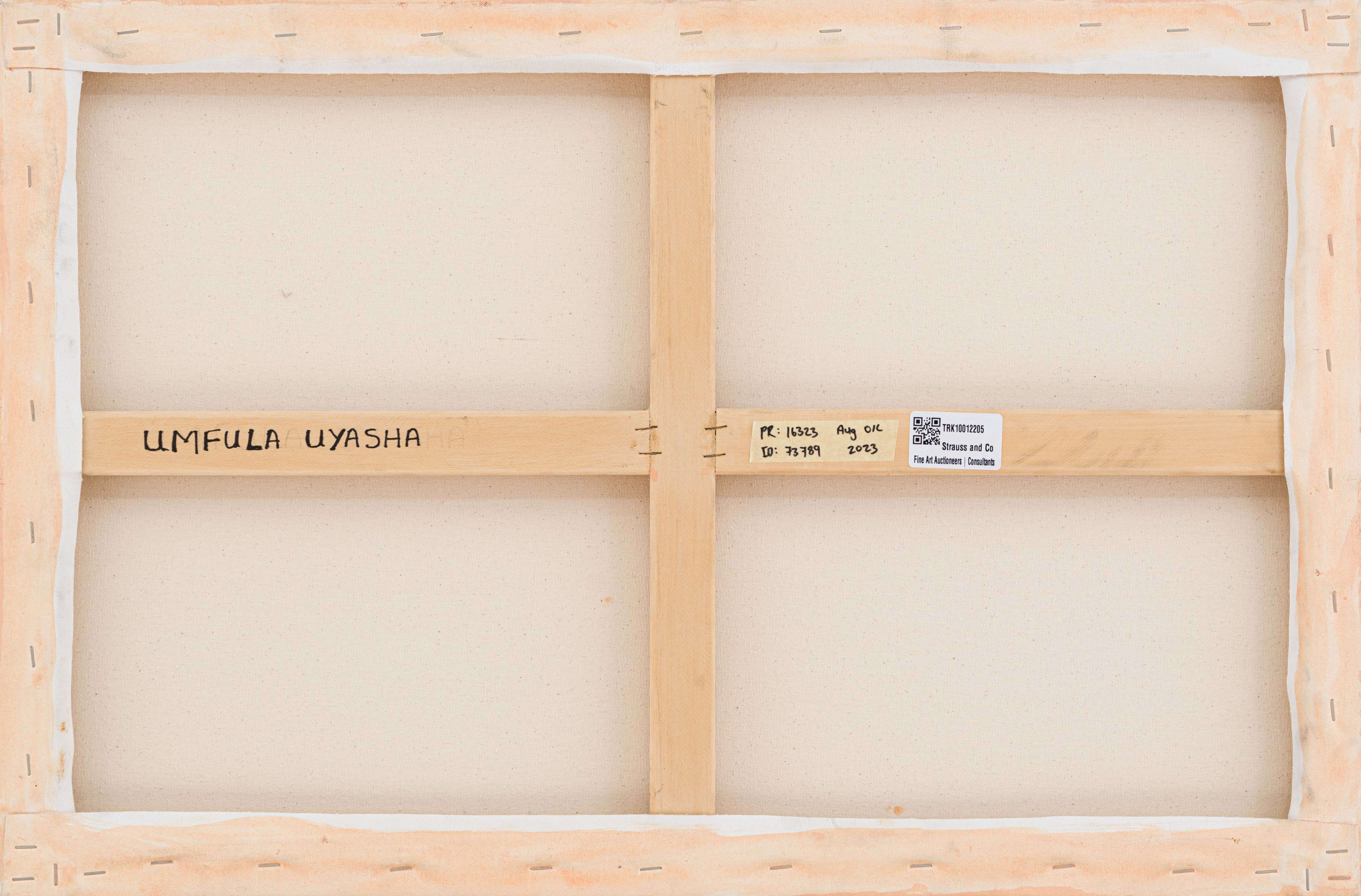 Umfula Uyasha by Sipho Ndlovu | Strauss & Co