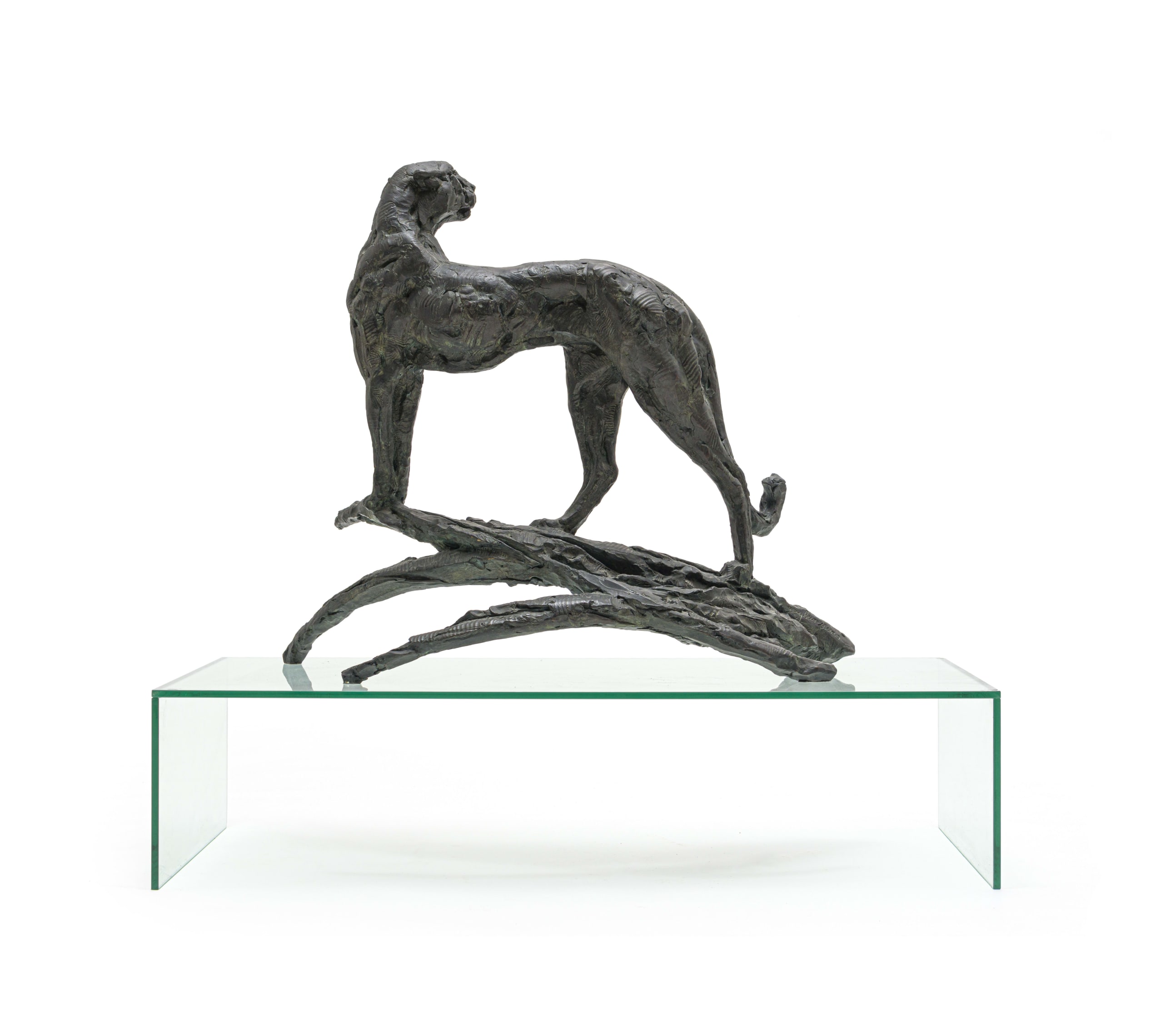Surveying Cheetah III Maquette (S348) by Dylan Lewis | Strauss & Co