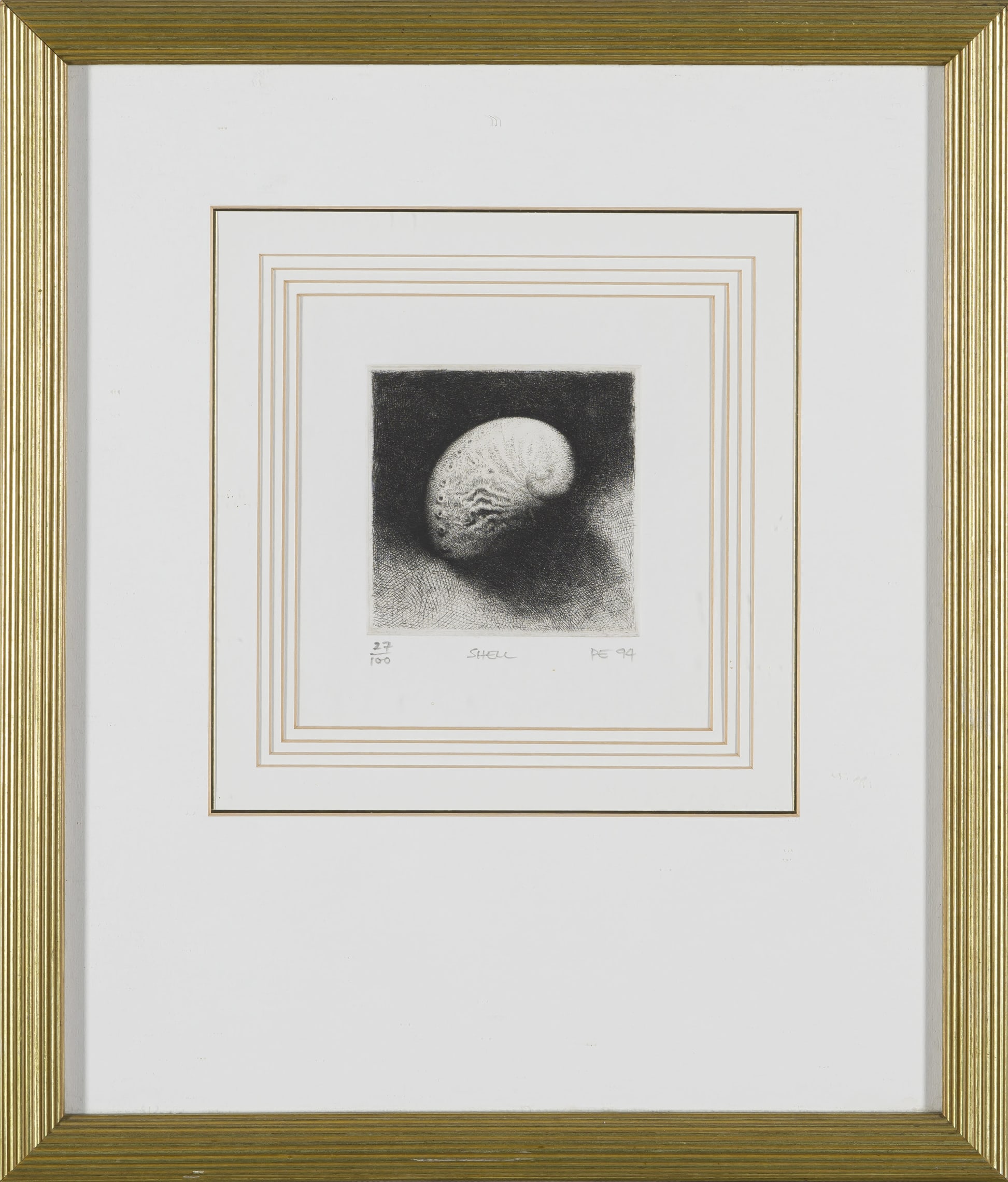 Shell by Paul Emsley | Strauss & Co