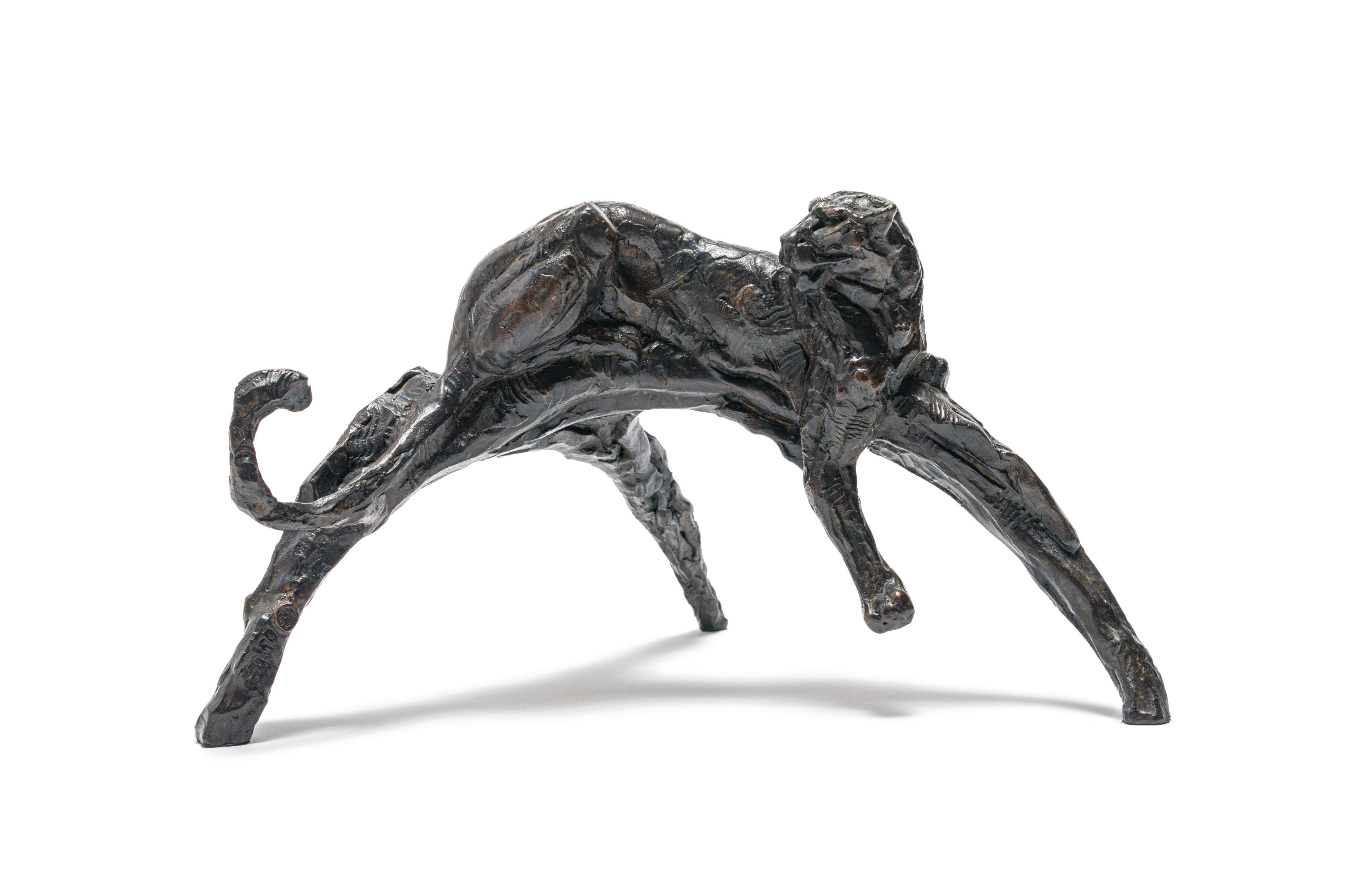Resting Leopard Maquette (S450) by Dylan Lewis | Strauss & Co