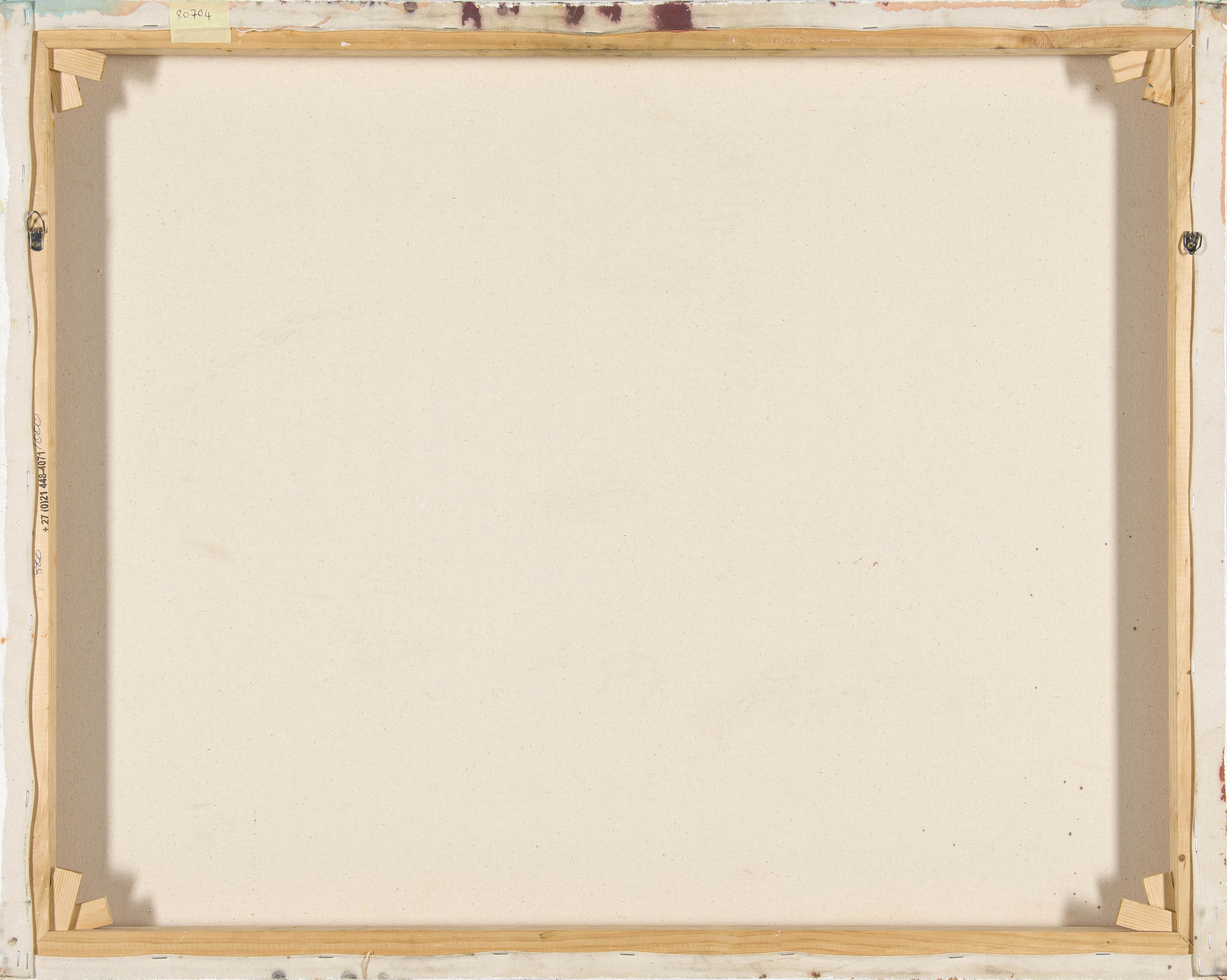 Intelligent Fool by Ayanda Mabulu | Strauss & Co