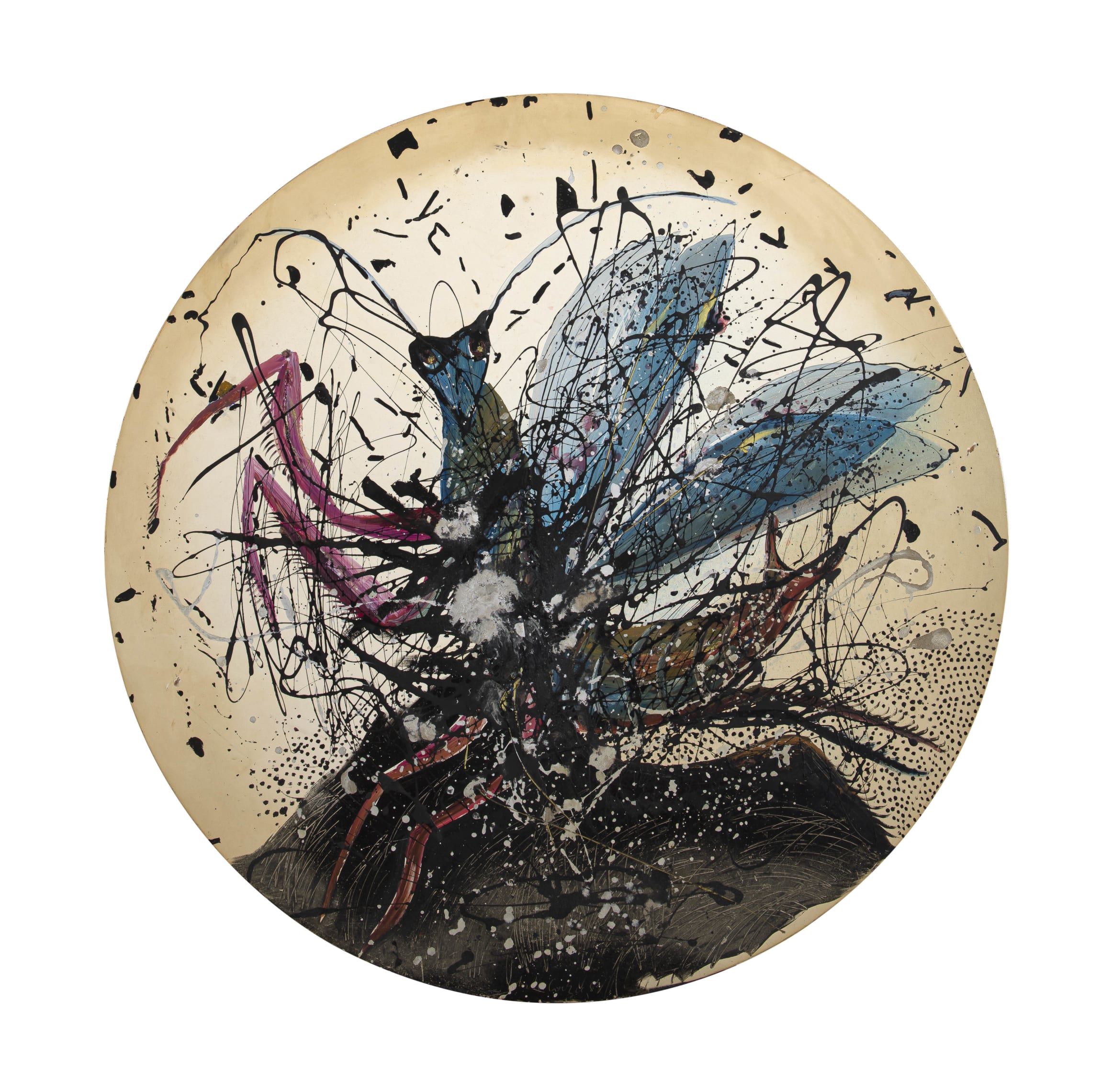 Mantis by Christo Coetzee | Strauss & Co