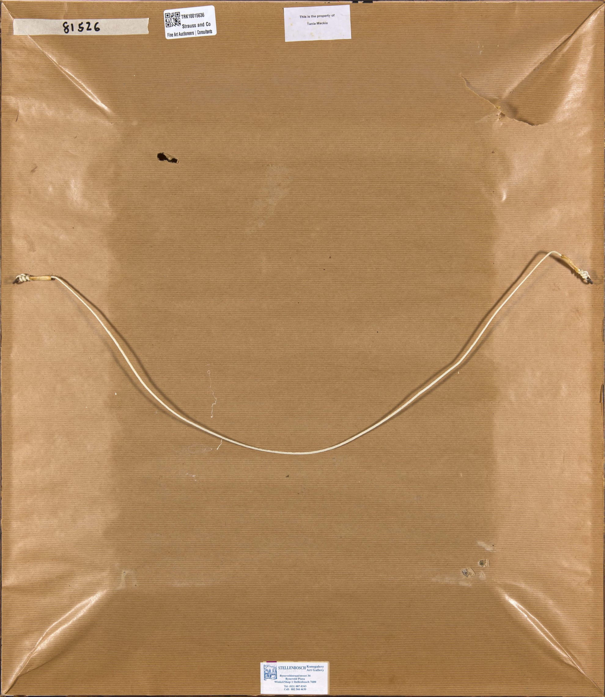 Roses in a Vase by Alexander Rose-Innes | Strauss & Co