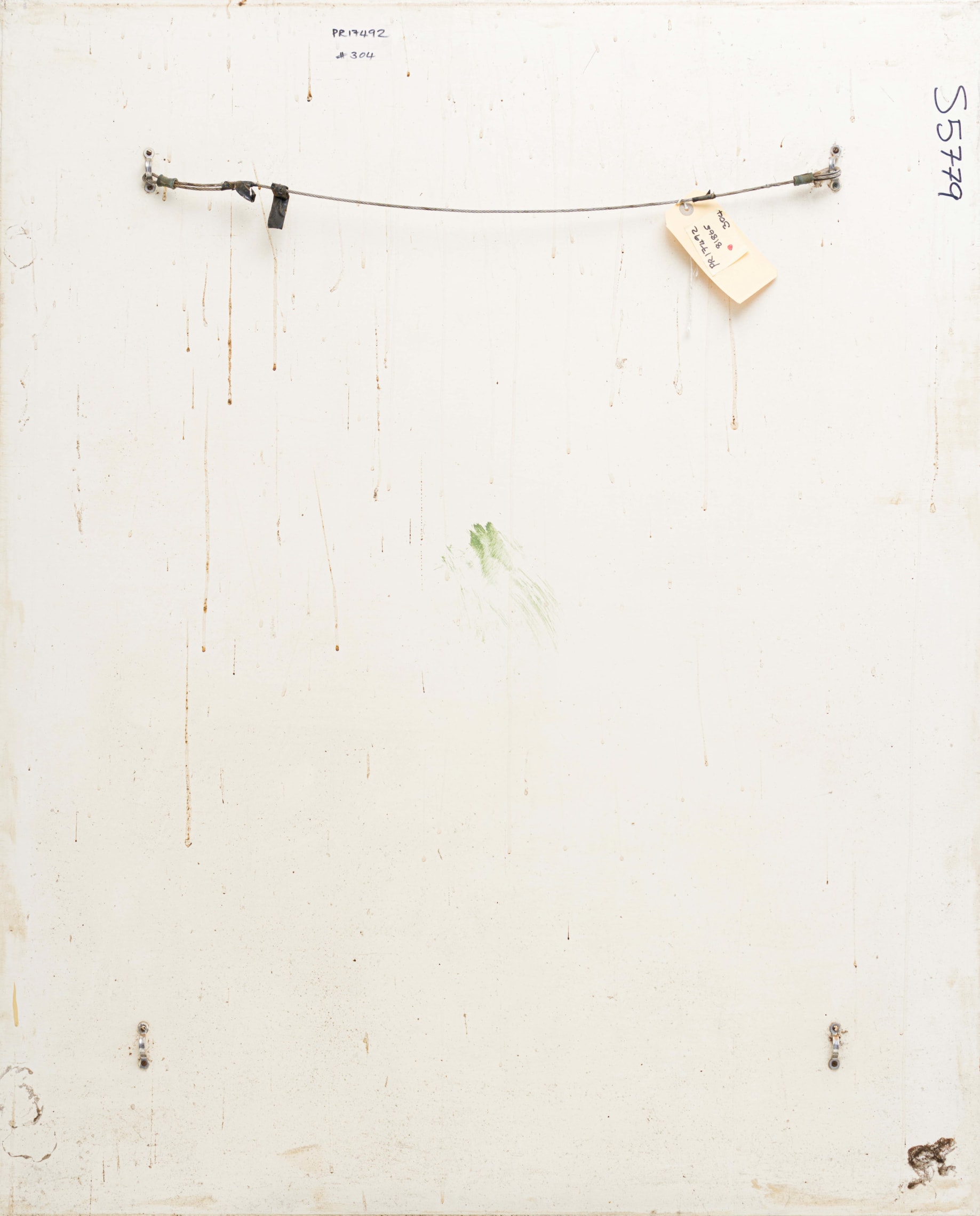 Poppies in a Vase by Paddy Starling | Strauss & Co