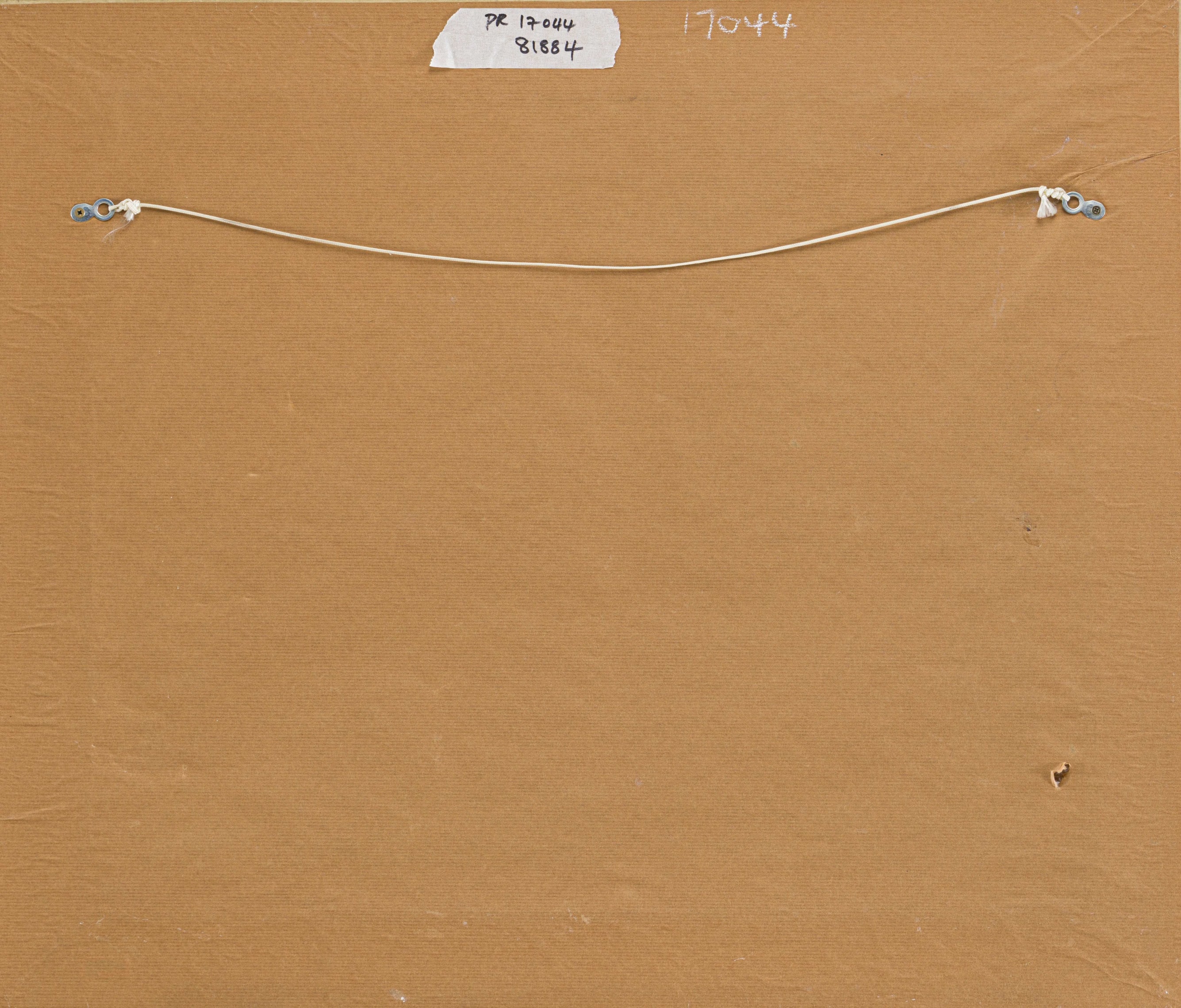 Irises by Roelof Rossouw | Strauss & Co