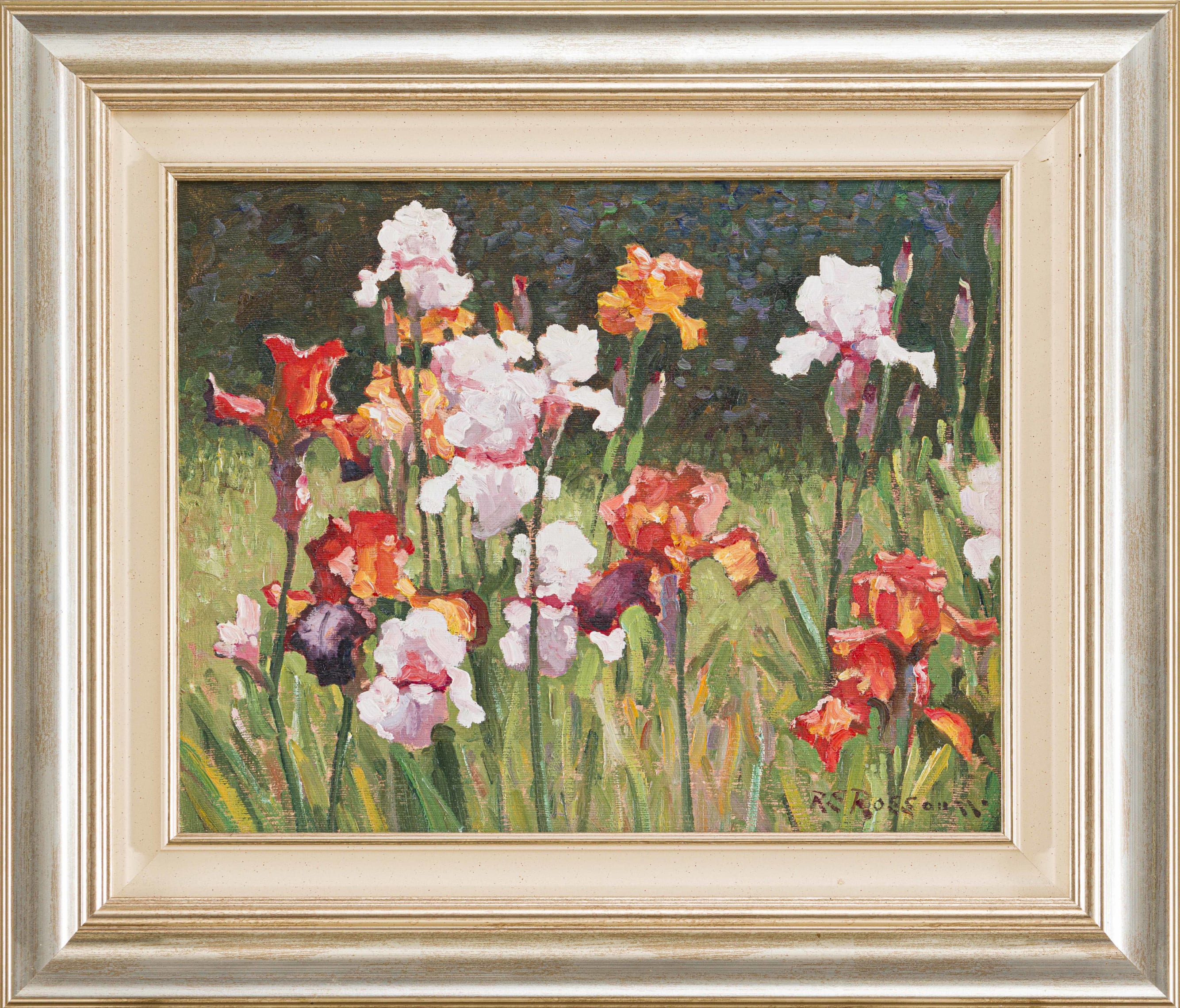 Irises by Roelof Rossouw | Strauss & Co