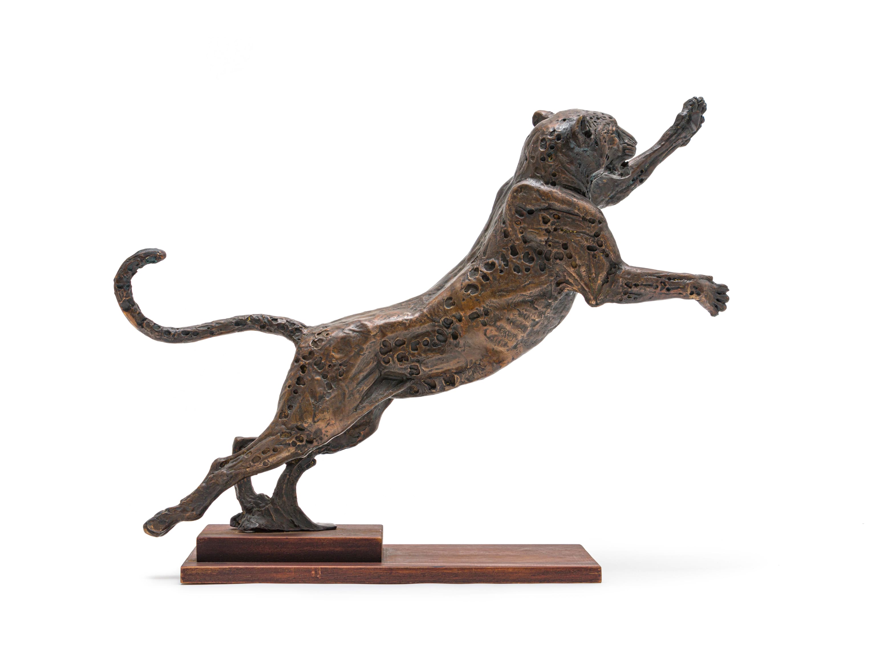 Leaping Leopard by Arend Eloff | Strauss & Co