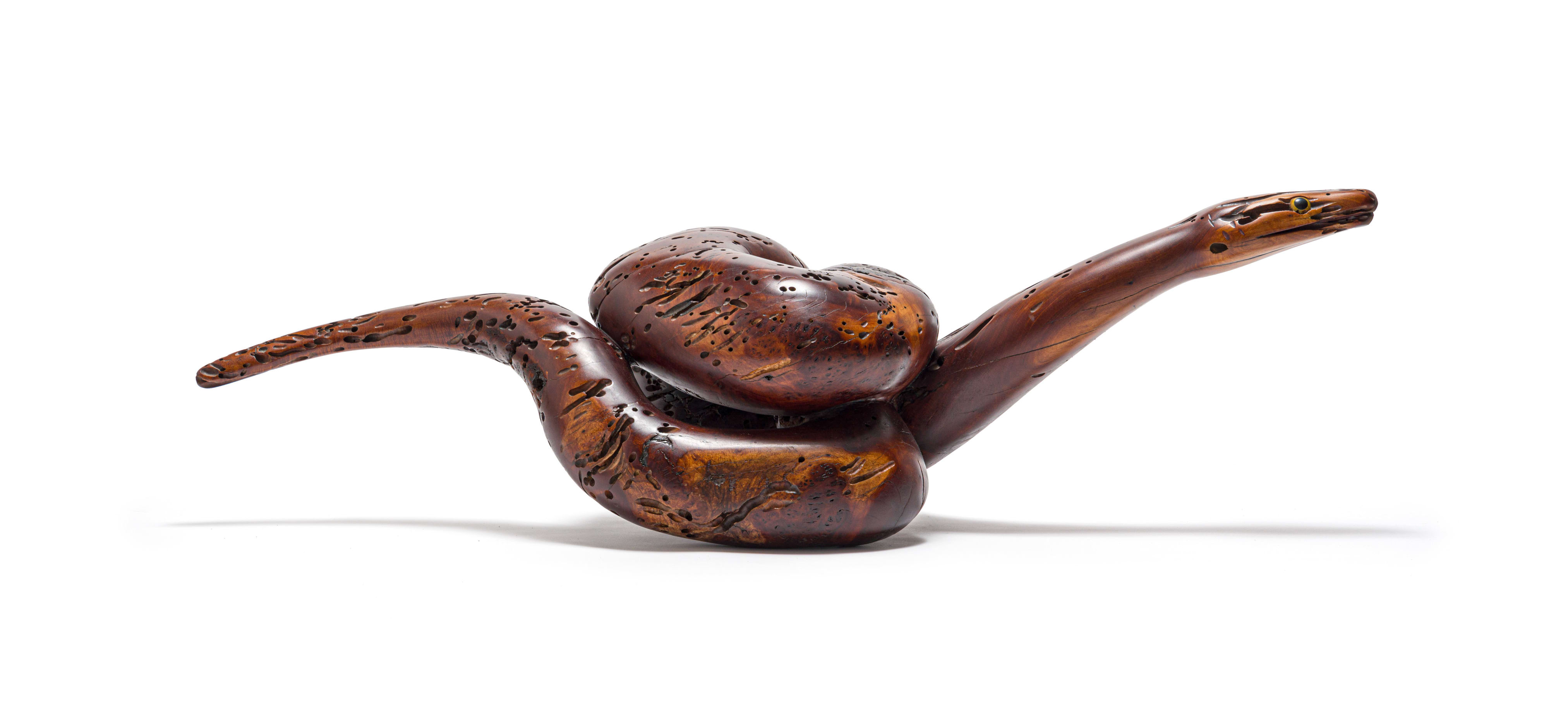 Snake by Carl Roberts | Strauss & Co
