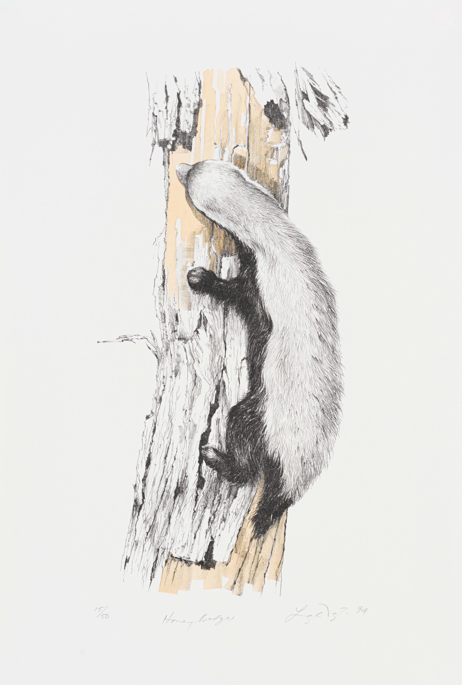 Honey Badger, three by Songololos by Hamerkop by Leigh Voigt | Strauss & Co