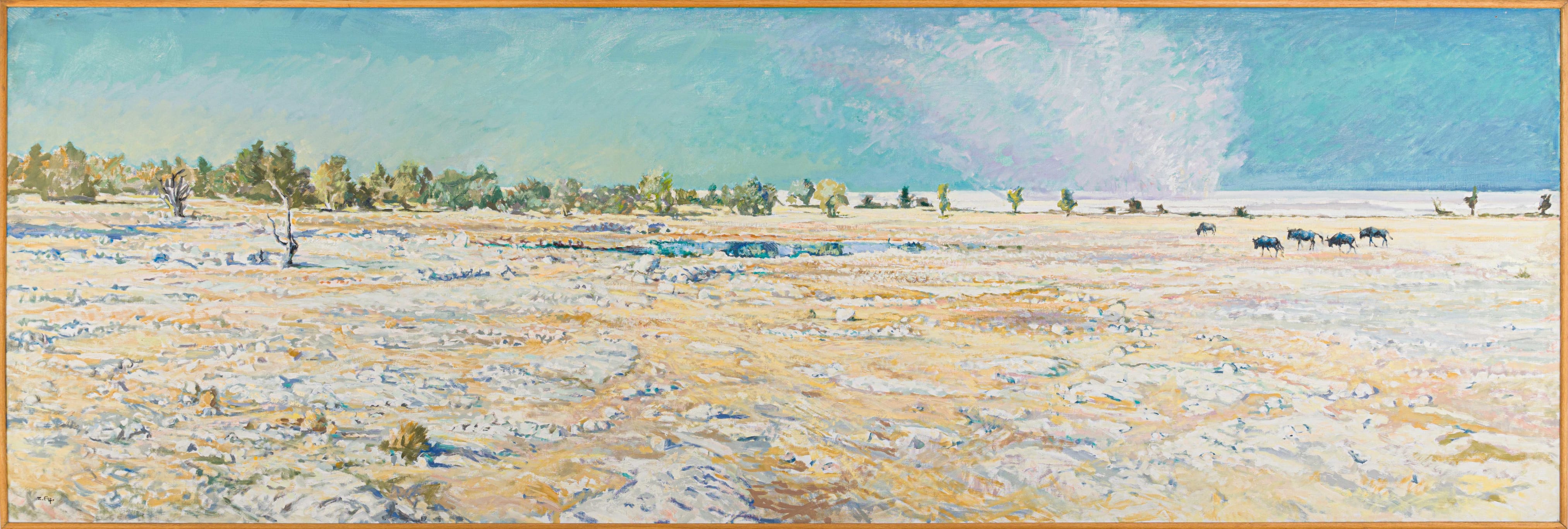 Etosha Landscape by Zakkie Eloff | Strauss & Co