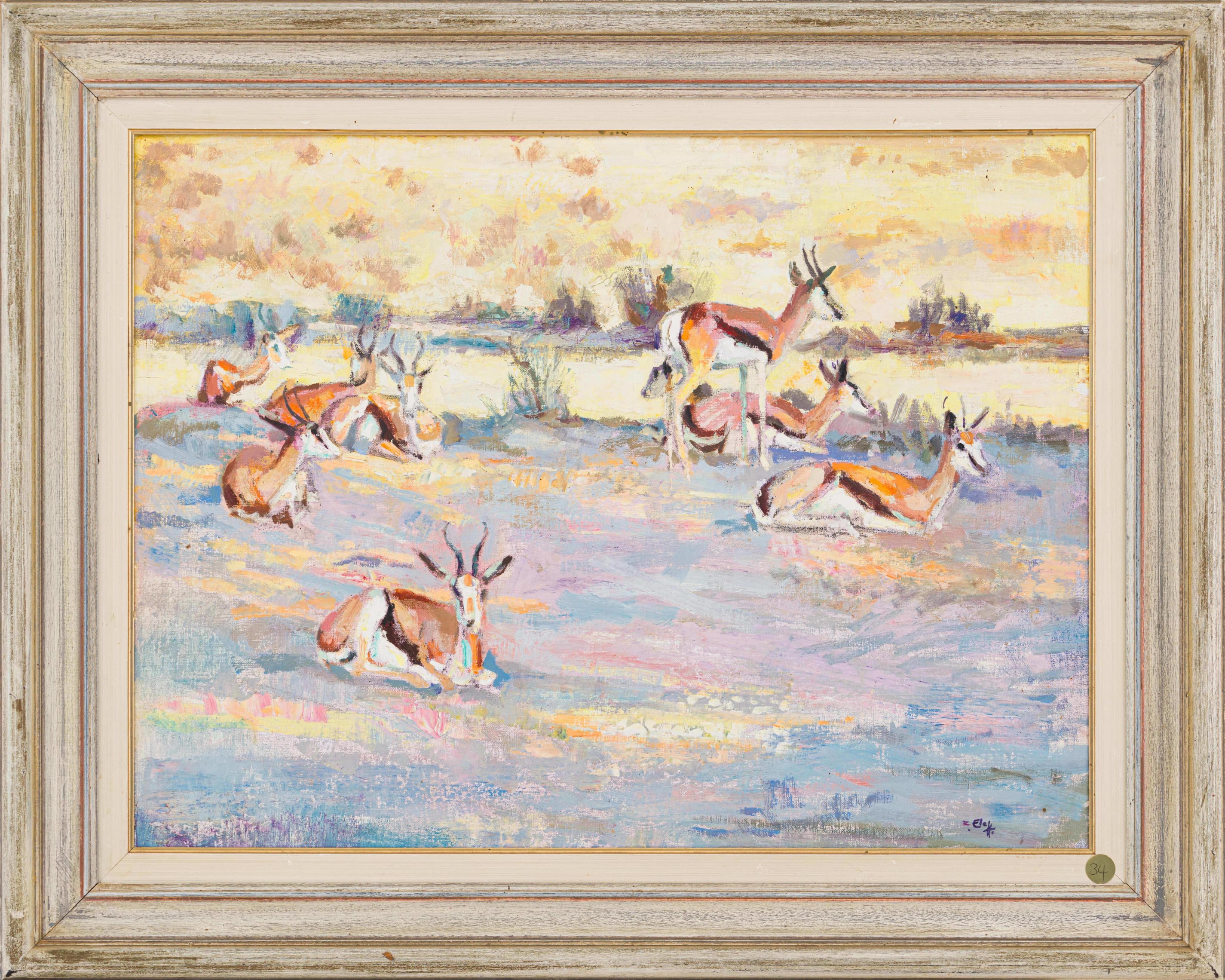 Springbok by Zakkie Eloff | Strauss & Co