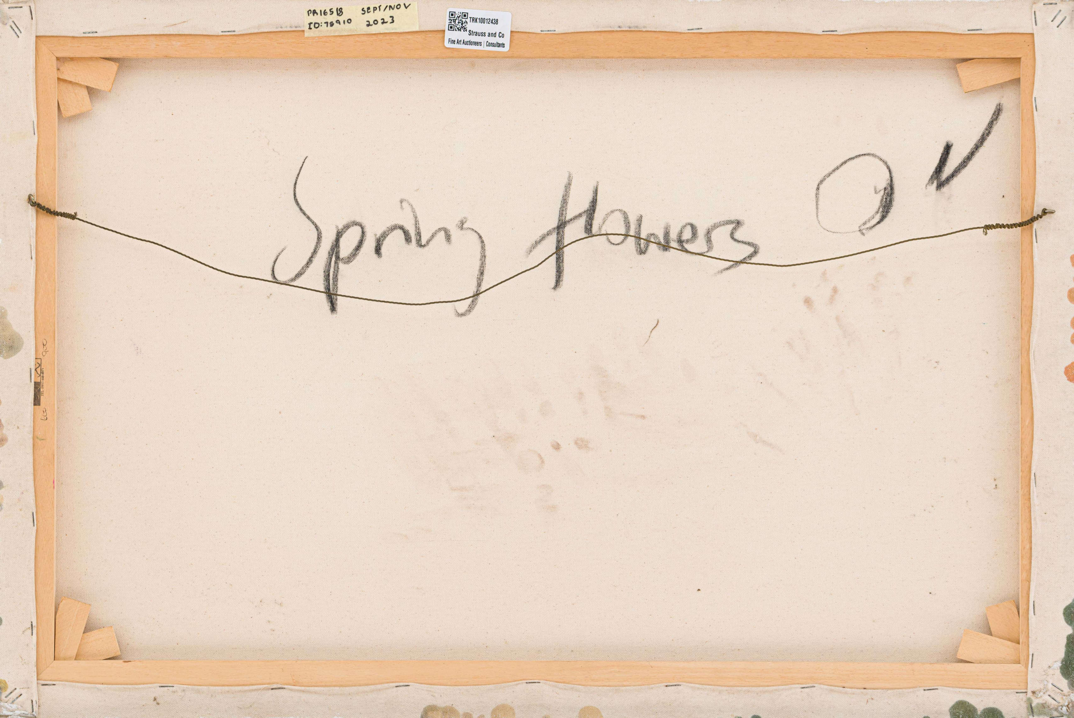 Spring Flowers by Beezy Bailey | Strauss & Co