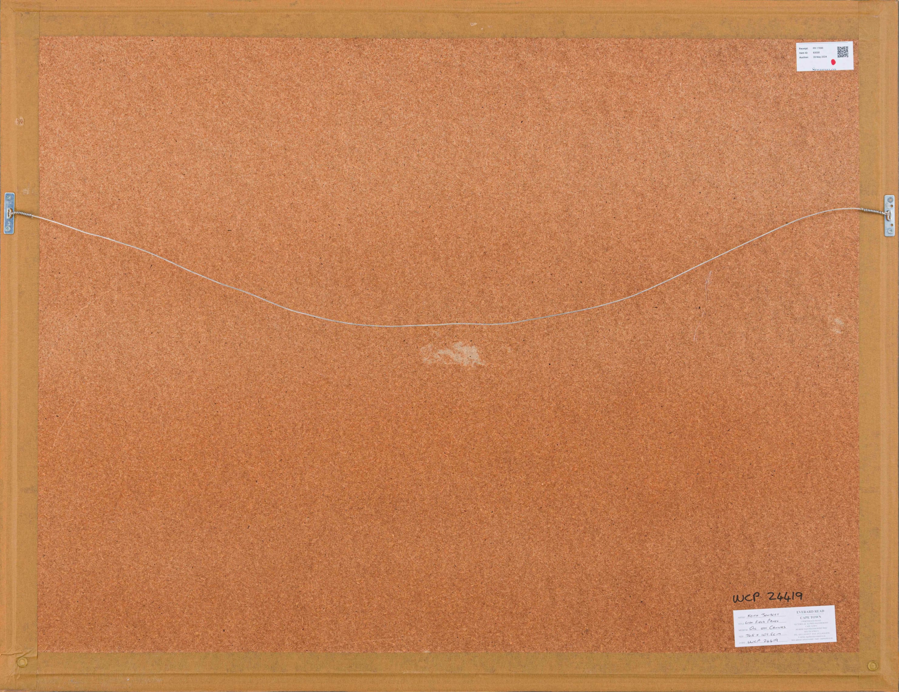 Lion Field Panel by Keith Joubert | Strauss & Co