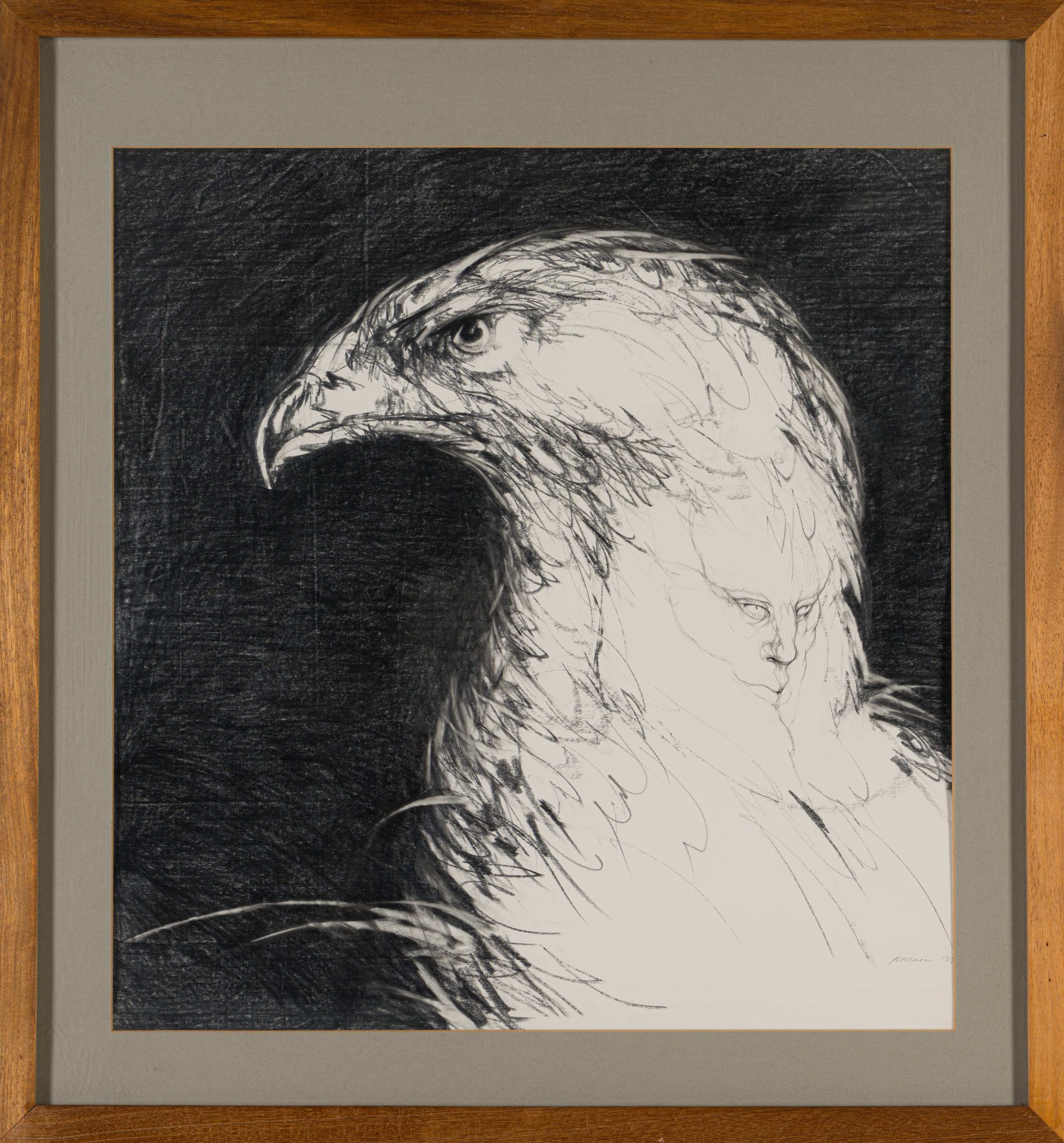 Eagle by Judith Mason | Strauss & Co