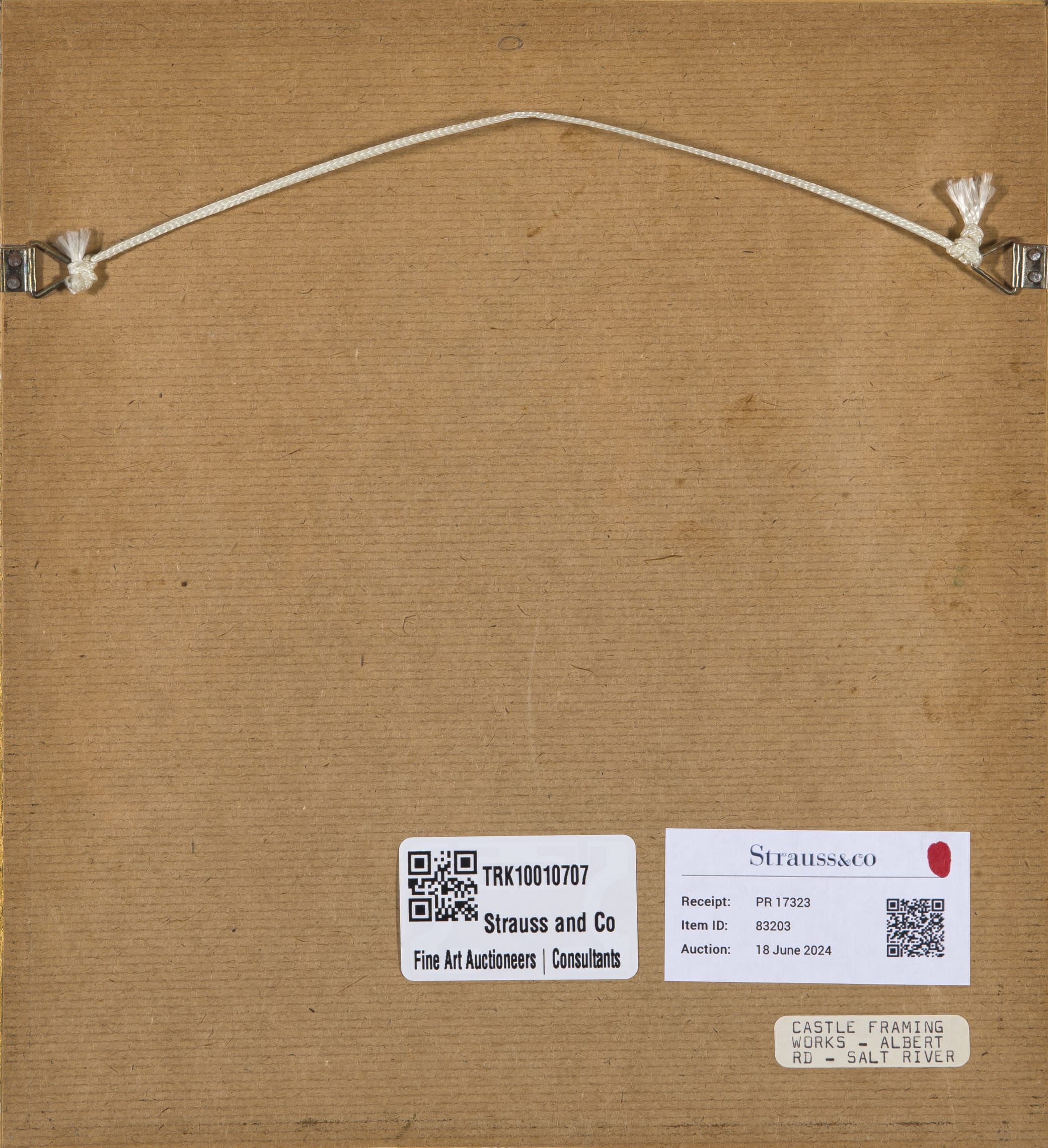 Cyrestis camillus (African Map Butterfly) Artwork by Phillip Grieve ...