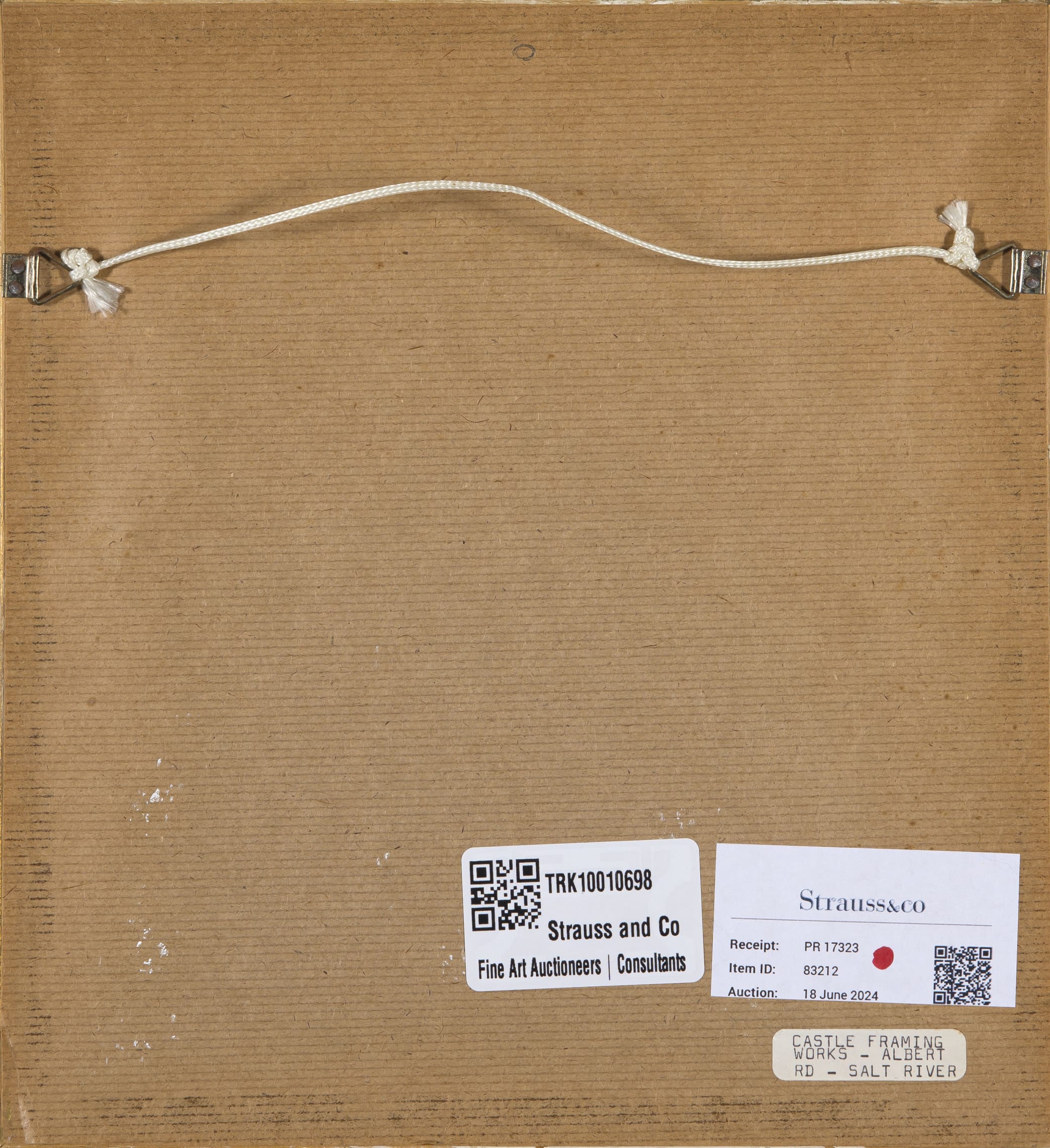 Colotis regina (Queen Purple Tip Butterfly) Artwork by Phillip Grieve ...