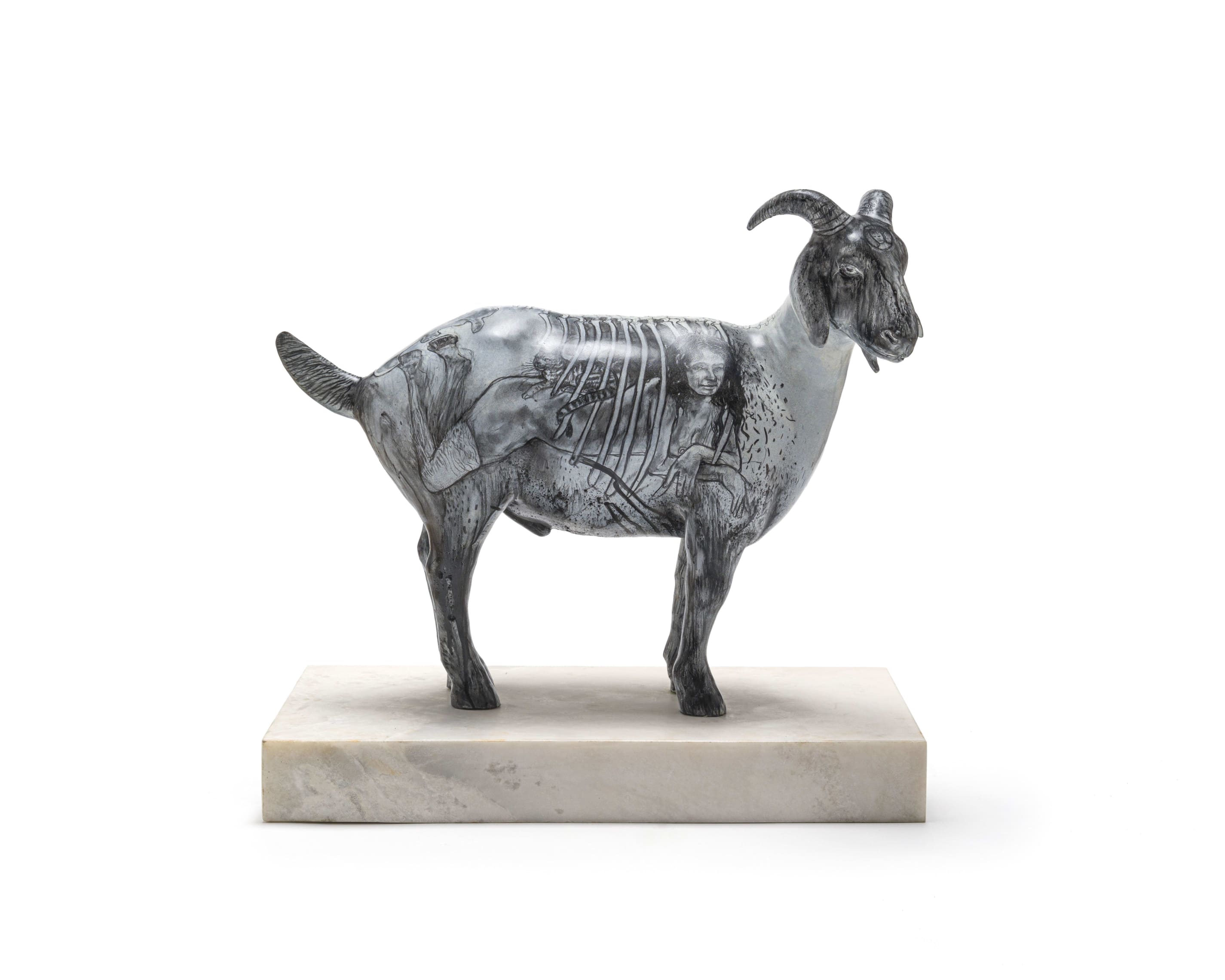 The Scapegoat Series: Goat Girls by Diane Victor and Ruhan Janse van ...