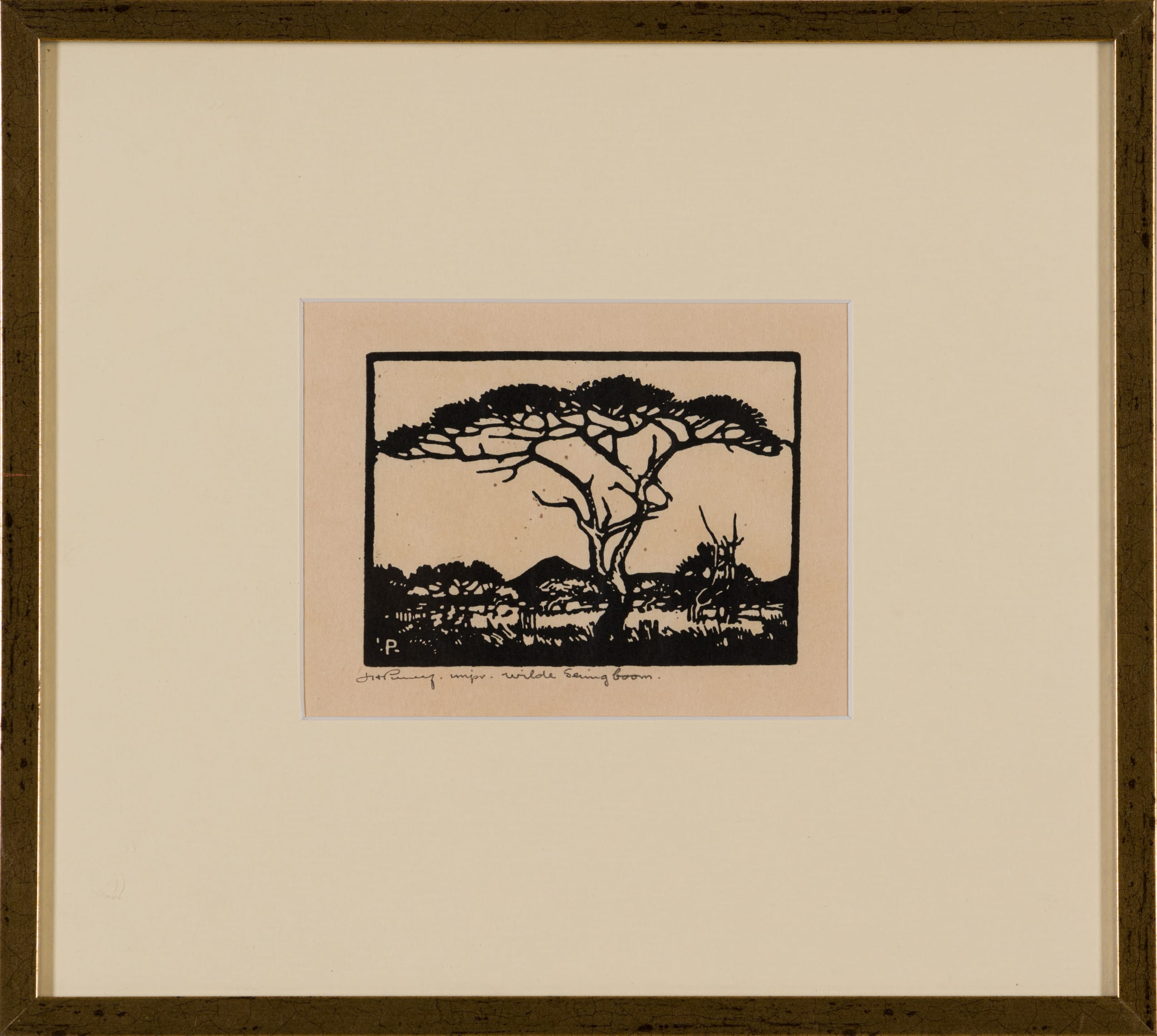 Doringboom in Veld (Nilant 96) by Jacob Hendrik Pierneef | Strauss & Co