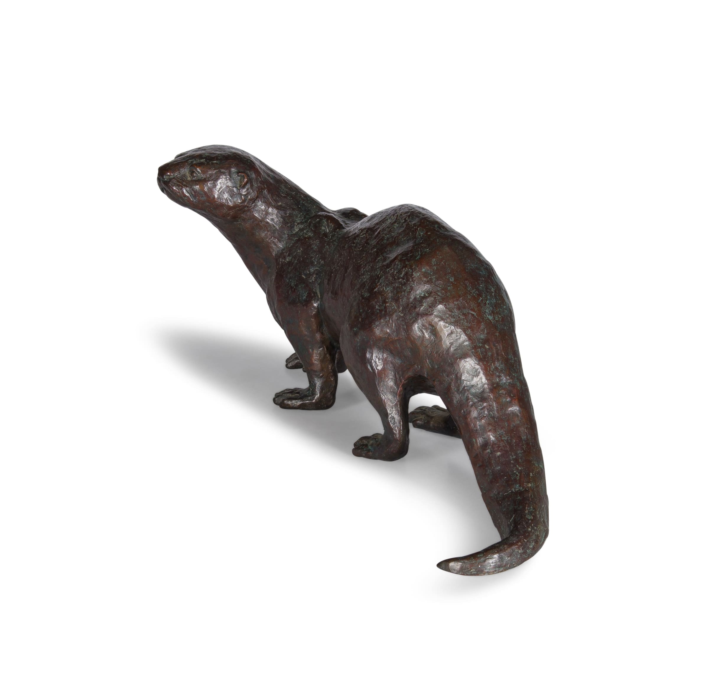 Otter by Bridget Randall | Strauss & Co