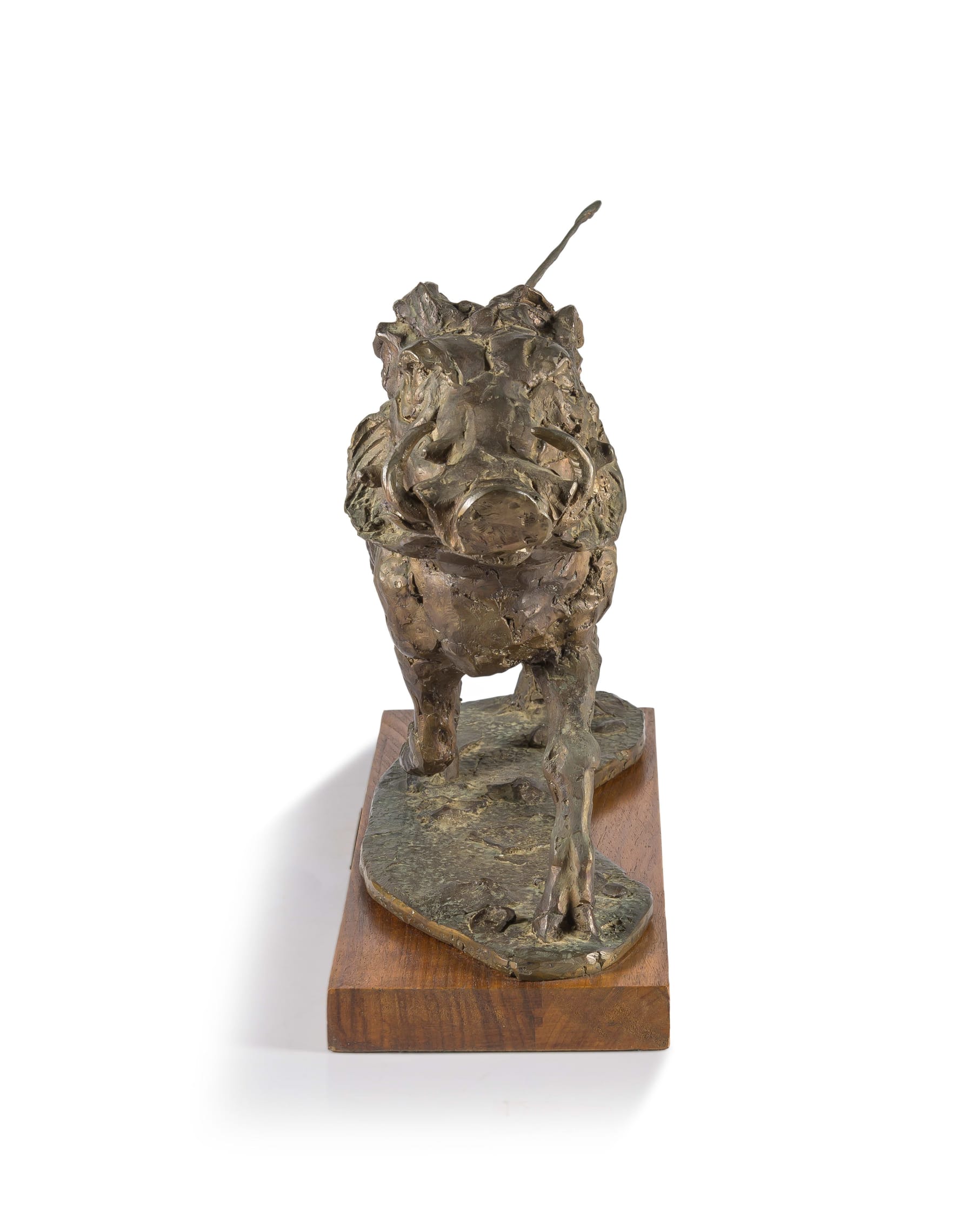 Warthog by Jo Roos | Strauss & Co